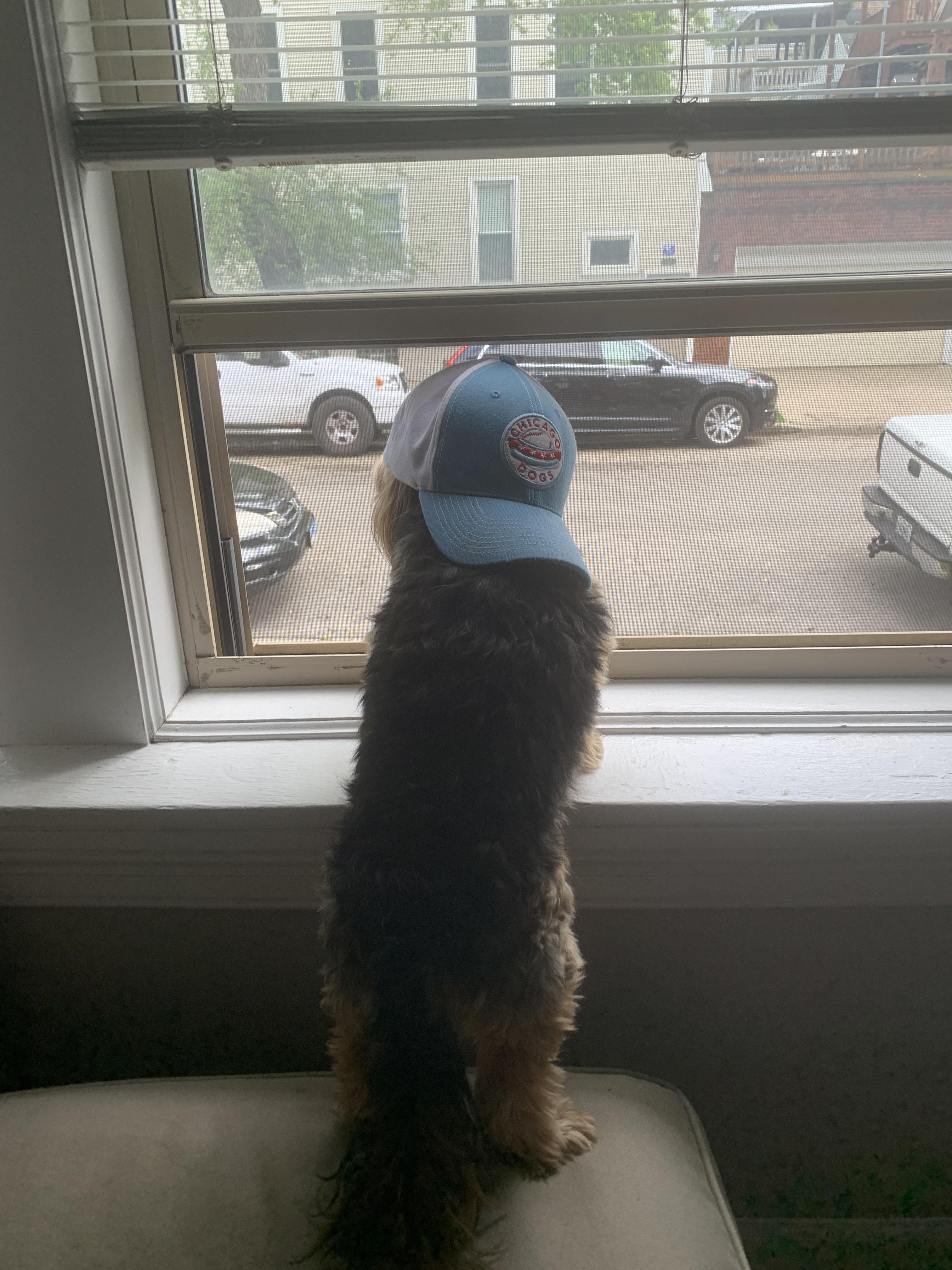 Mango being all fly | Scrolller