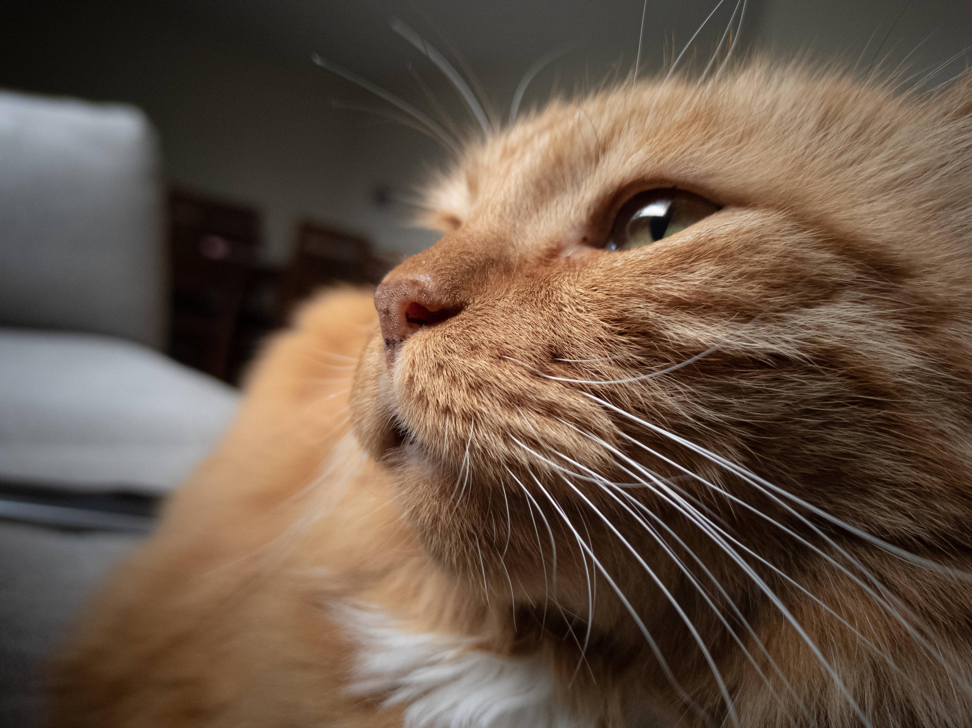 Manual (raw) and lightroom | Scrolller