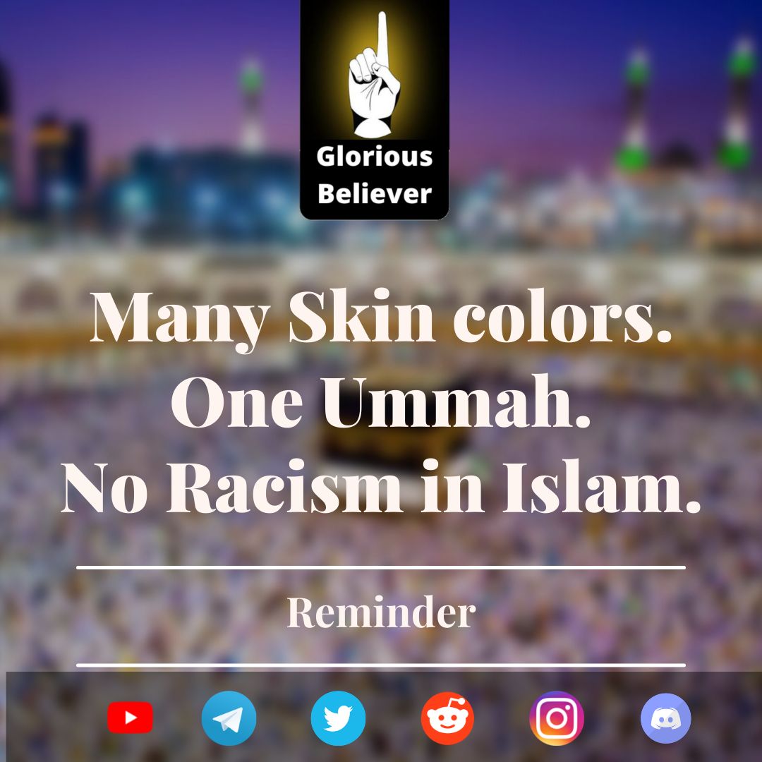 Many Skin Colors. One Ummah. No Racism in Islam. | Scrolller