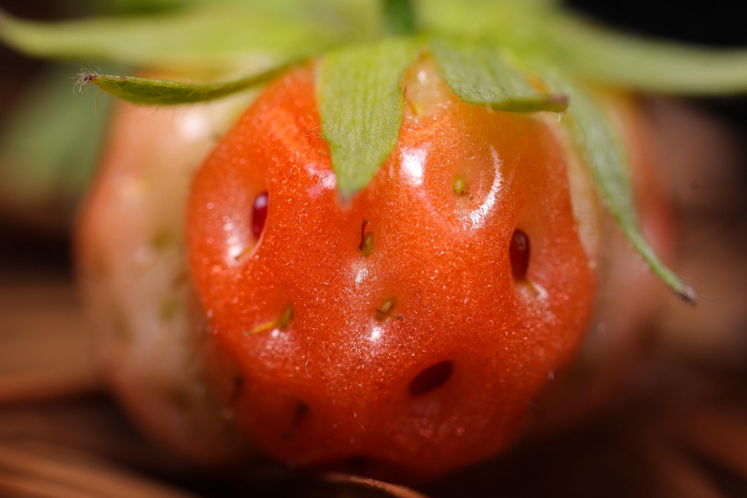 Mara de bois strawberry day 26 | Scrolller