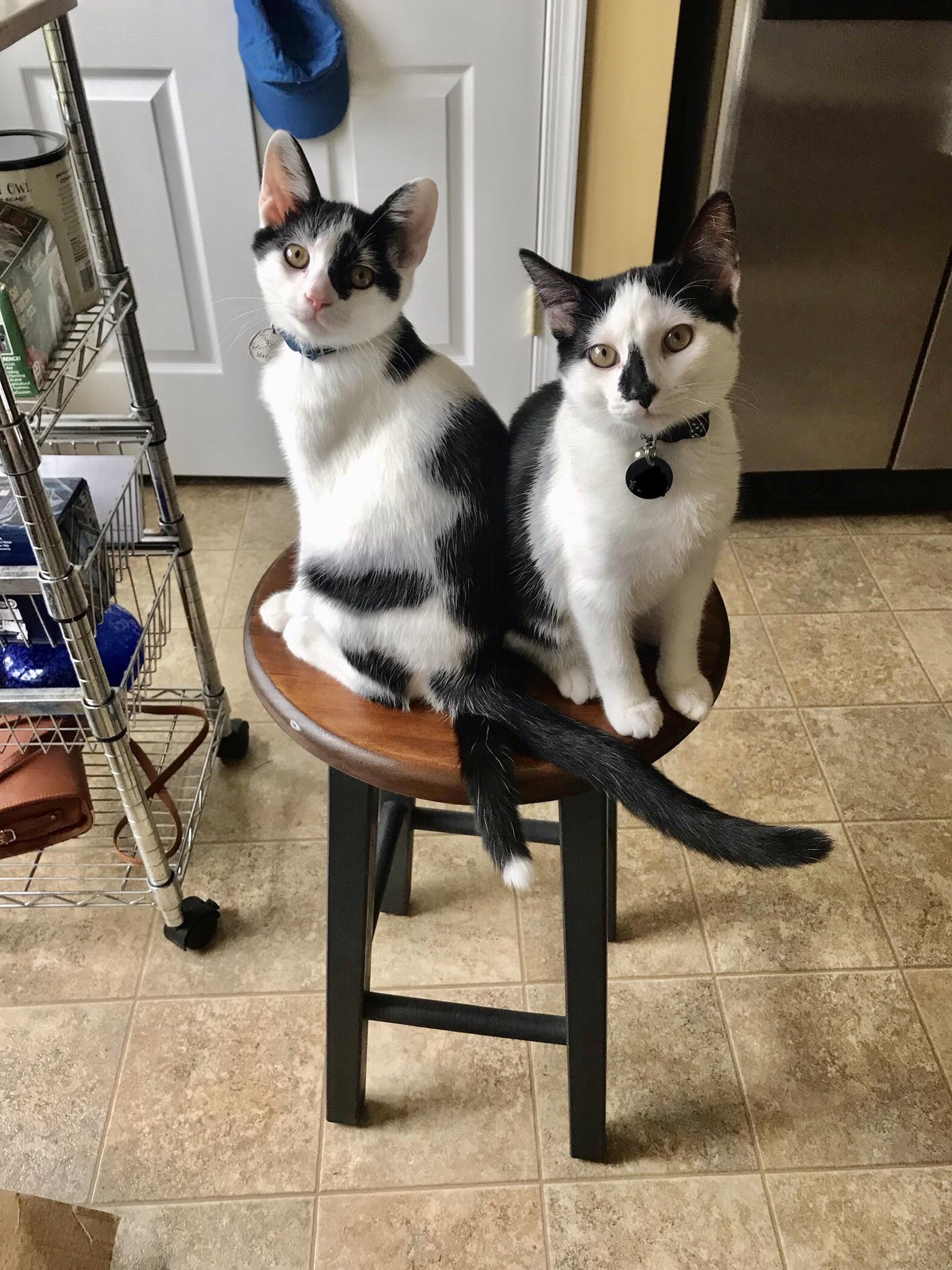 Mars and Athena | Scrolller