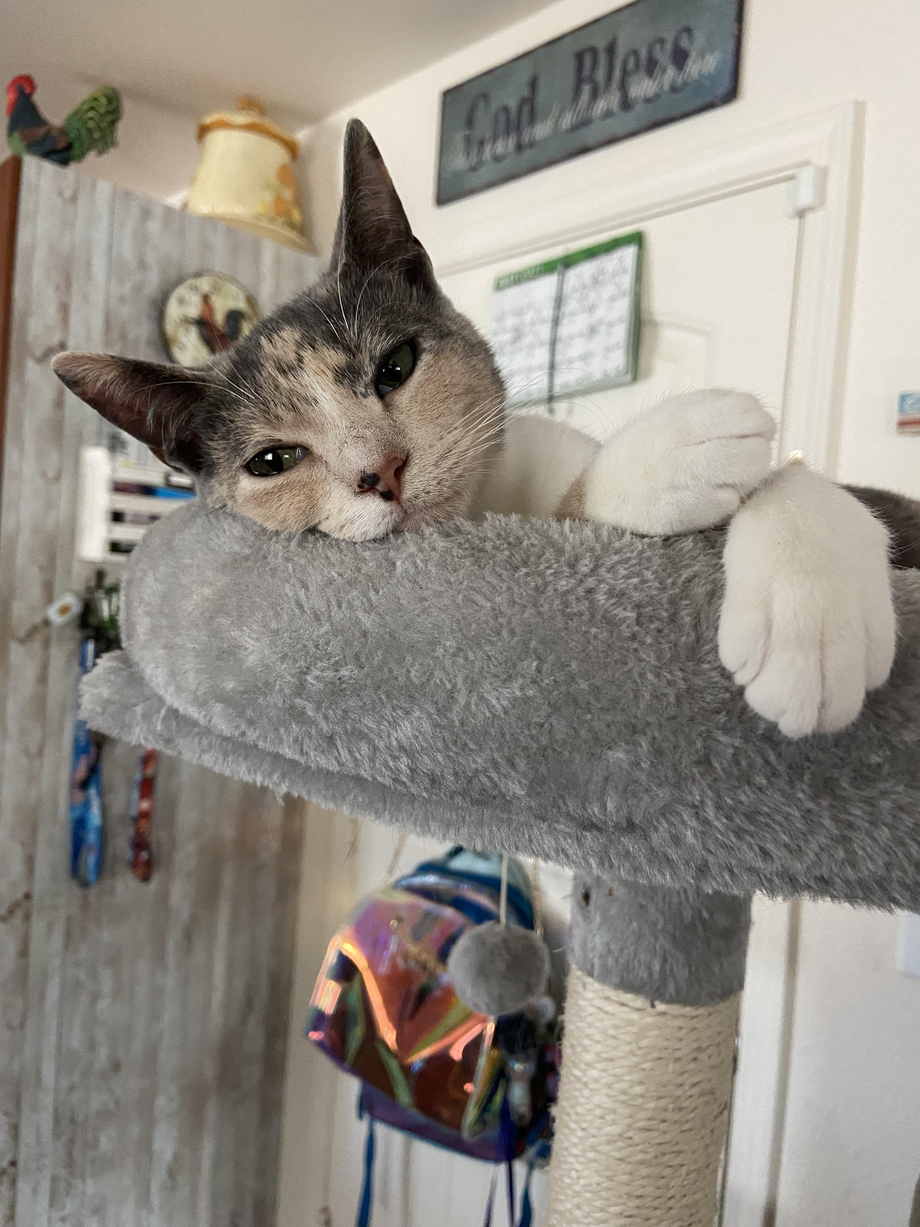 Martha says hello! | Scrolller