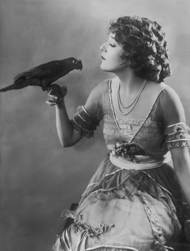 Mary Pickford, 1920 | Scrolller