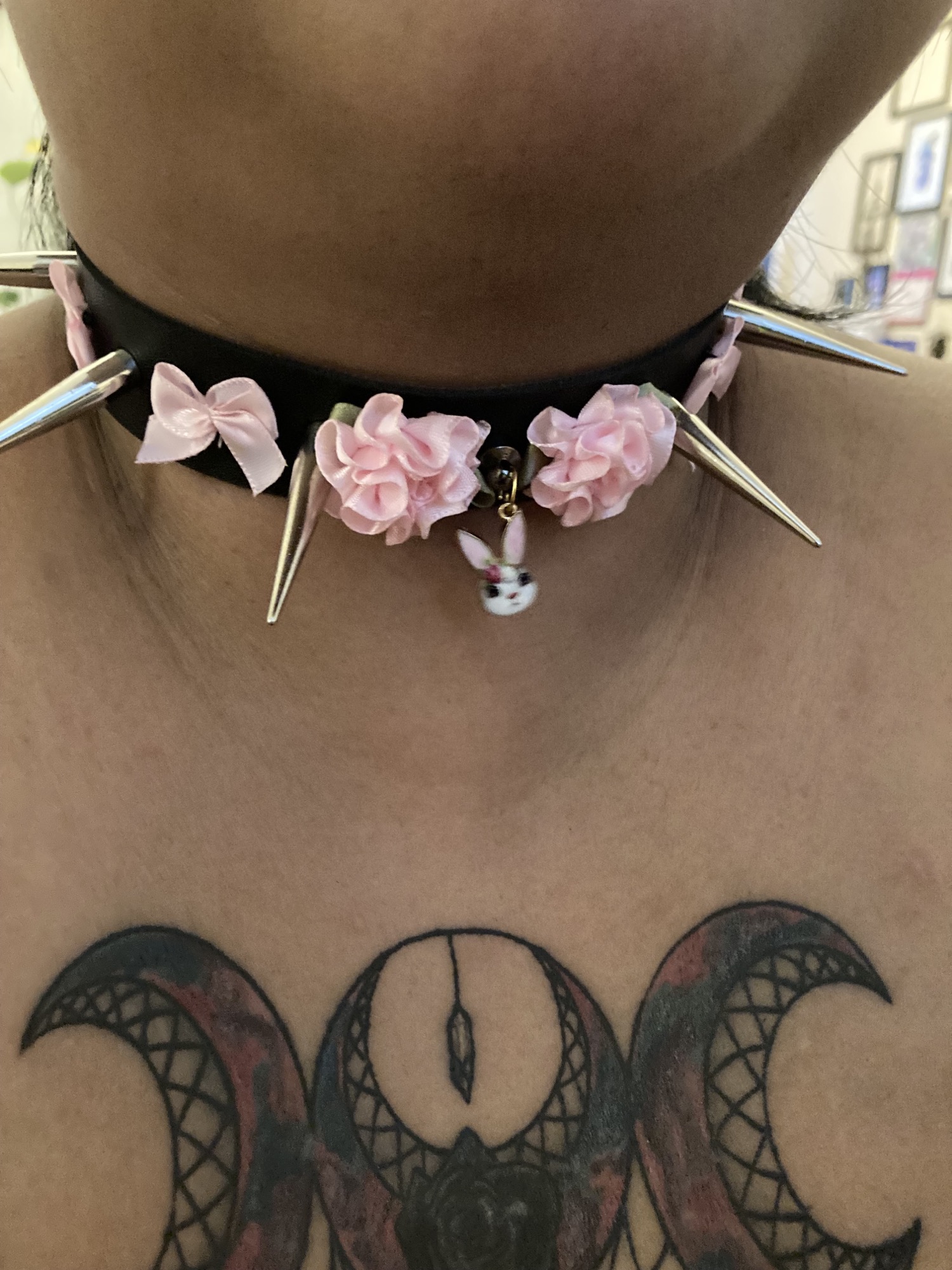 Master bought me a cute new collar! | Scrolller