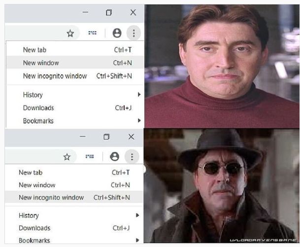 Master of disguise | Scrolller