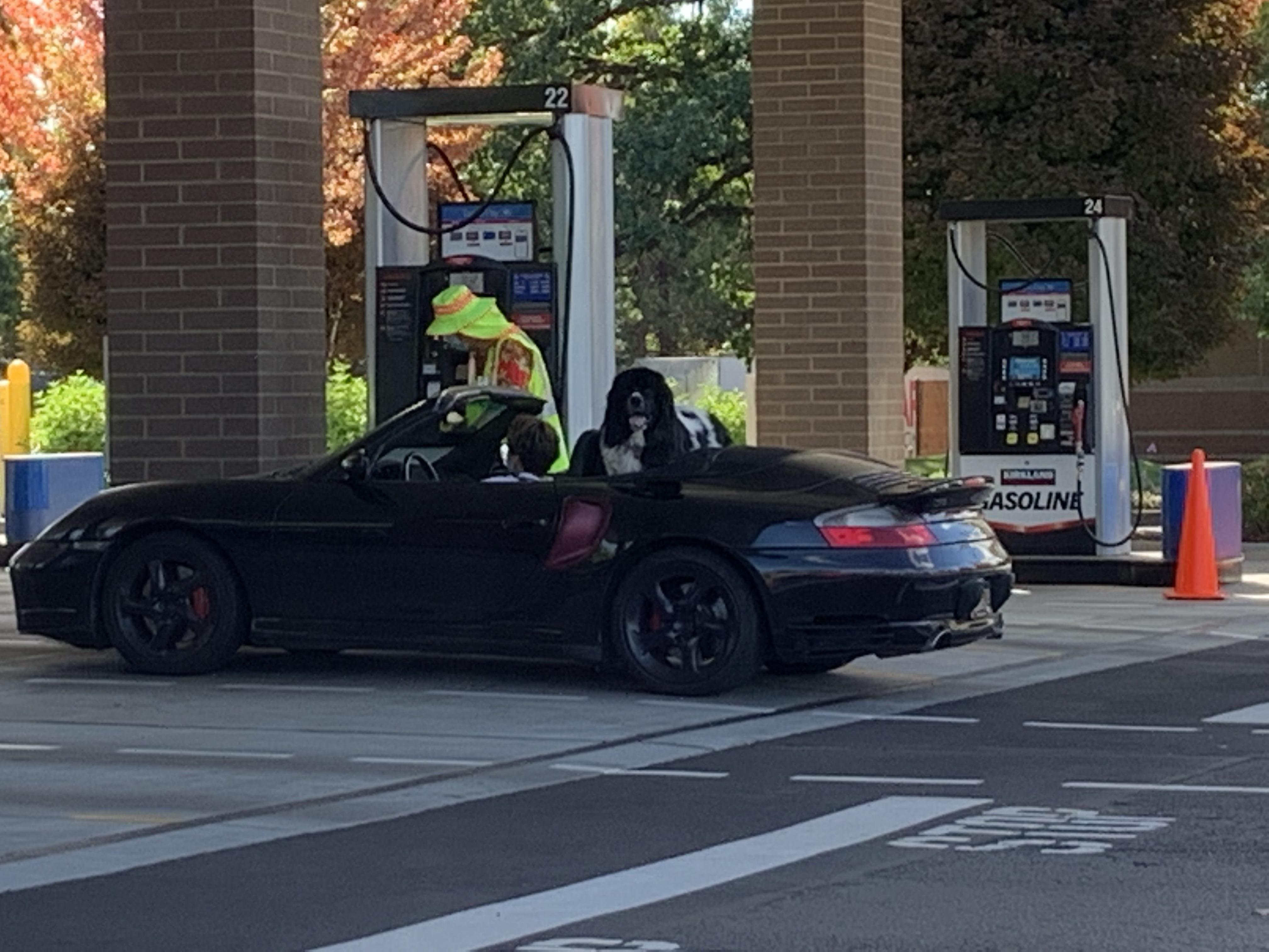 Matching set part 2. | Scrolller