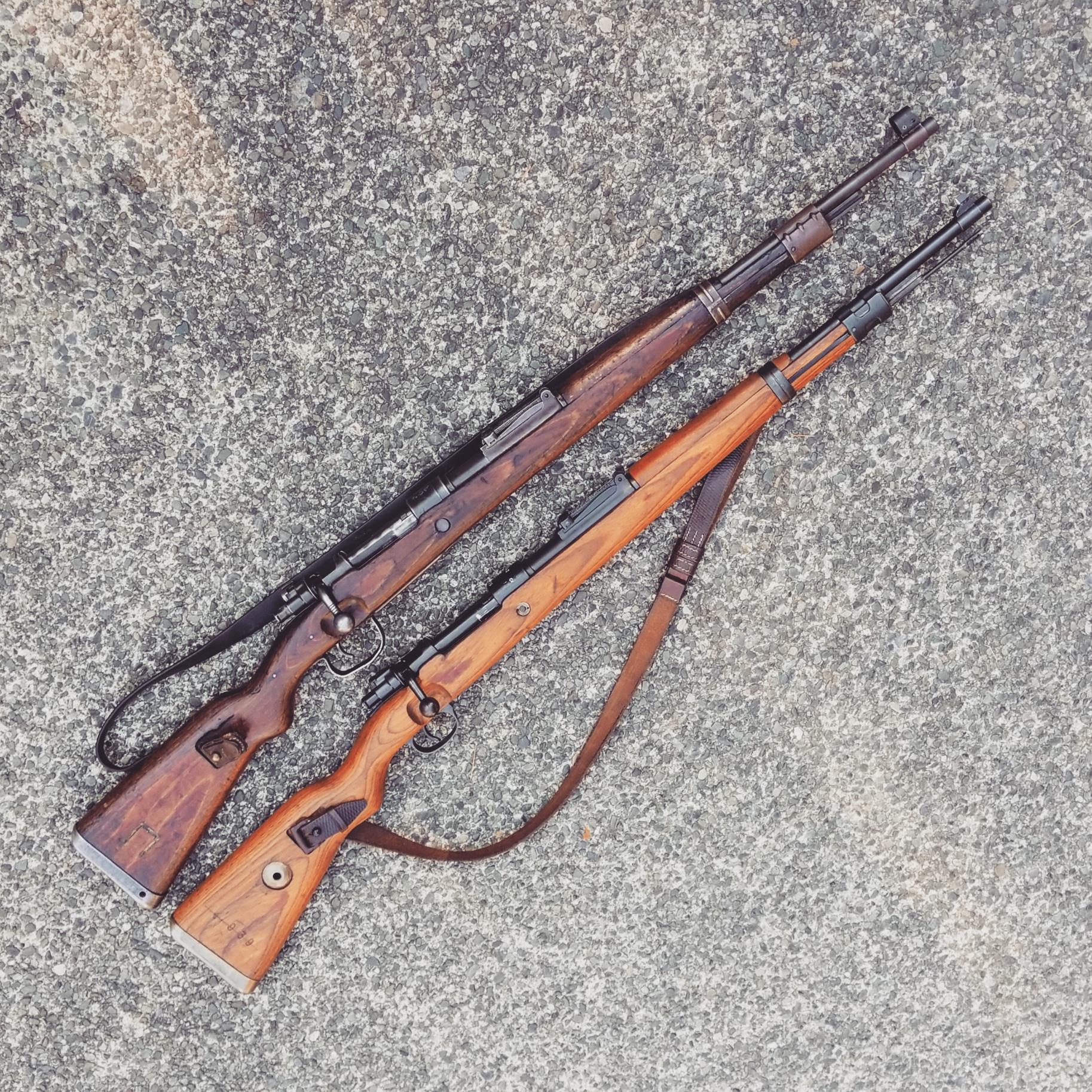 Mausers in the afternoon light | Scrolller