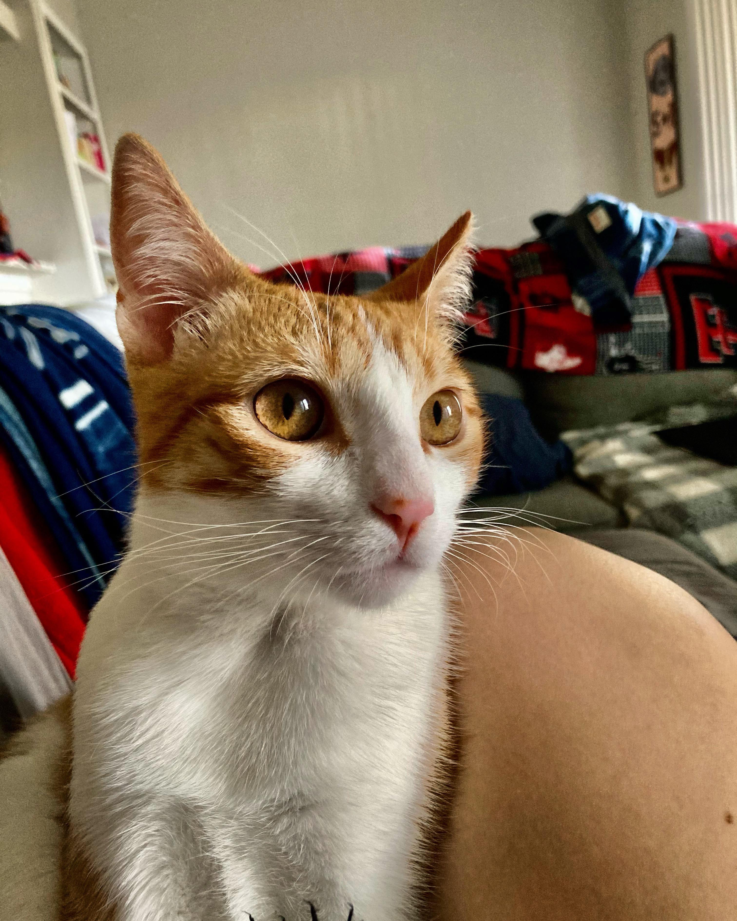 Max is deep in his thoughts | Scrolller