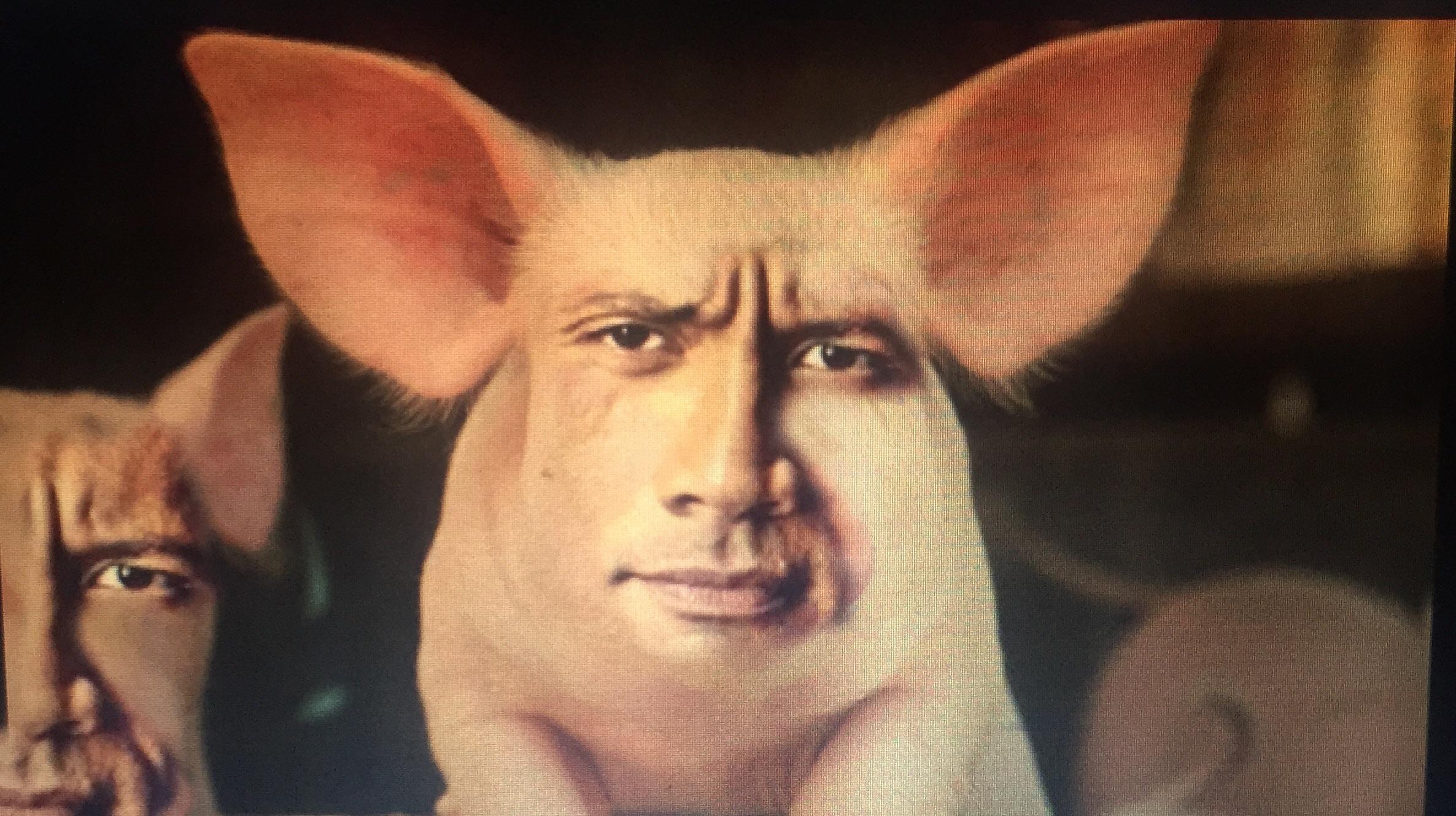 May I present to you. Durock pig | Scrolller