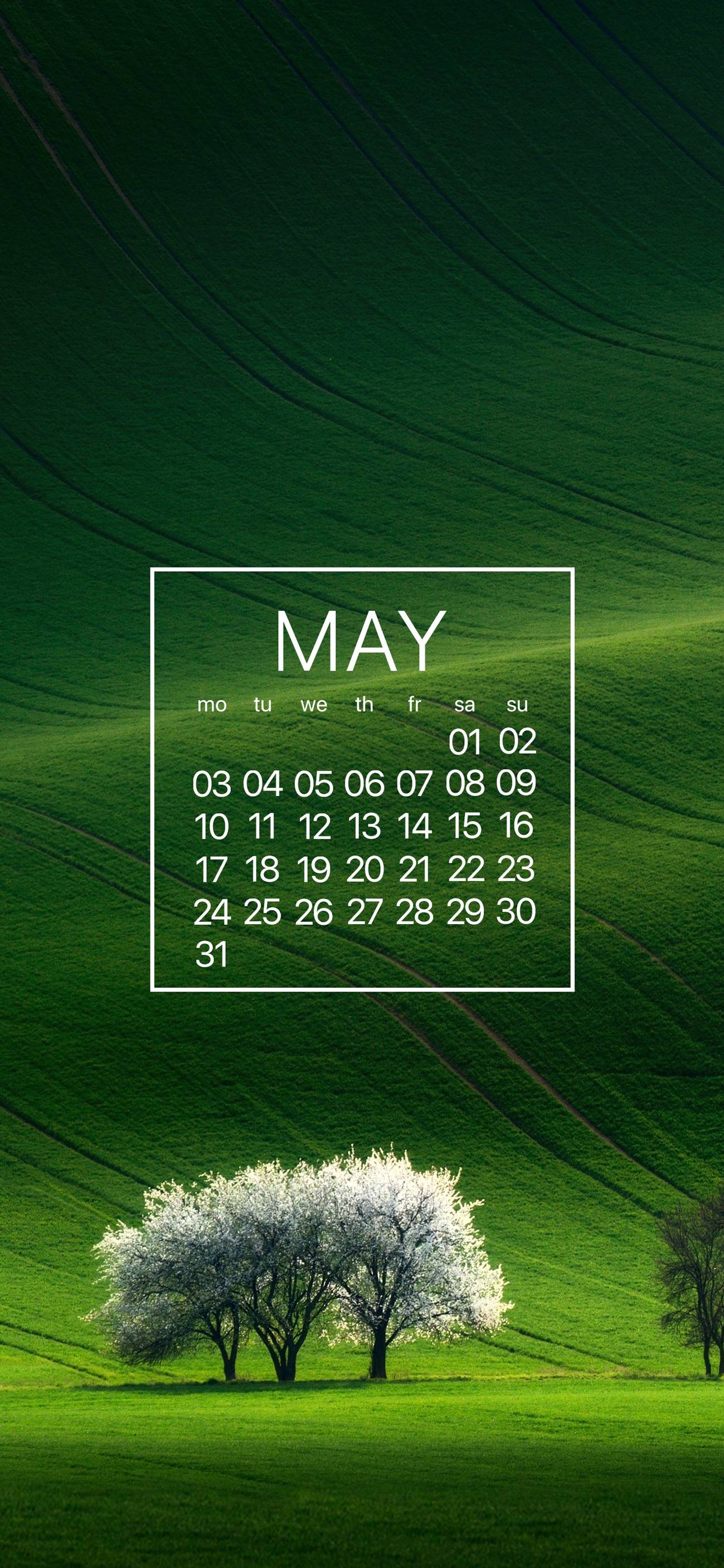May | Scrolller