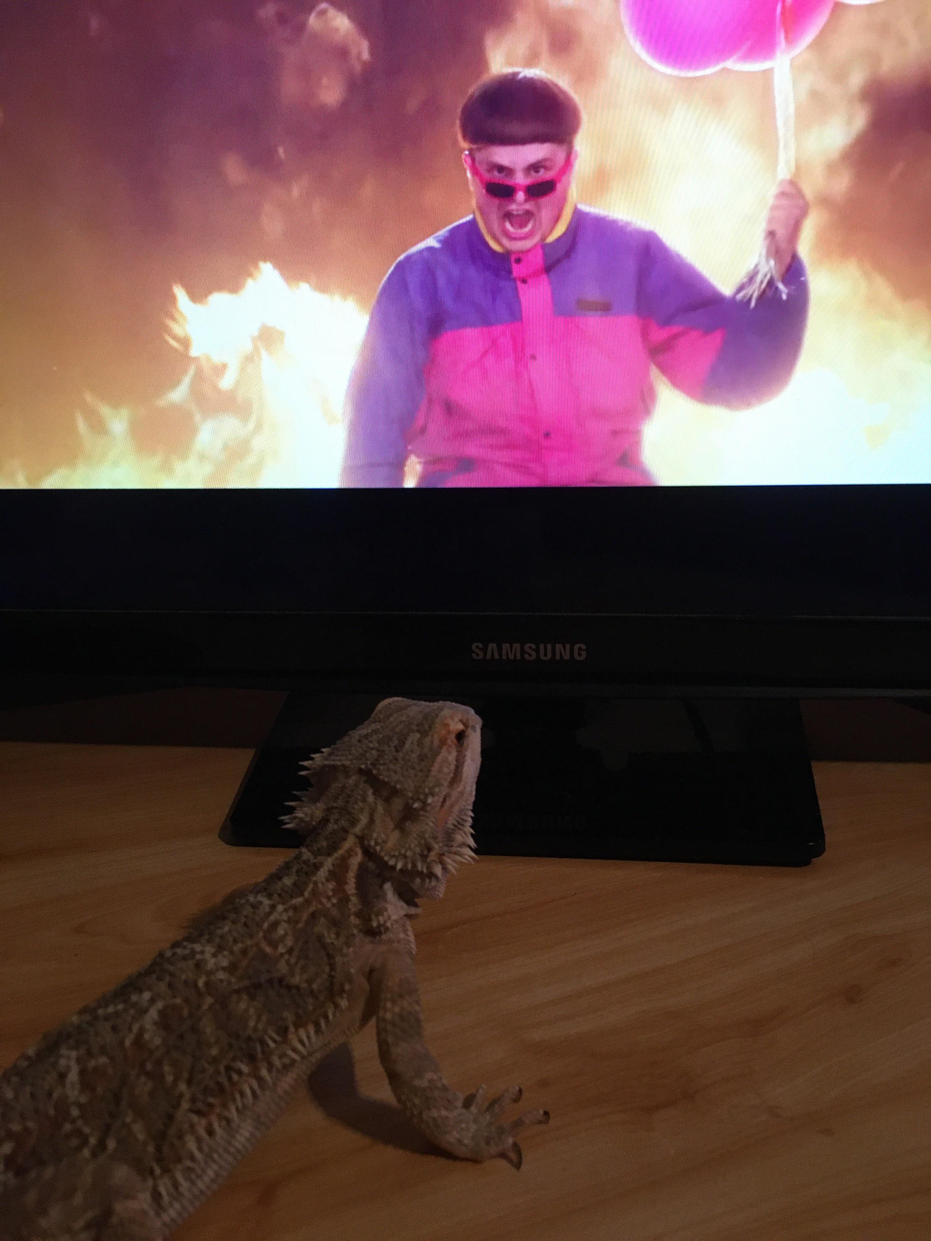 Me and El vibing | Scrolller