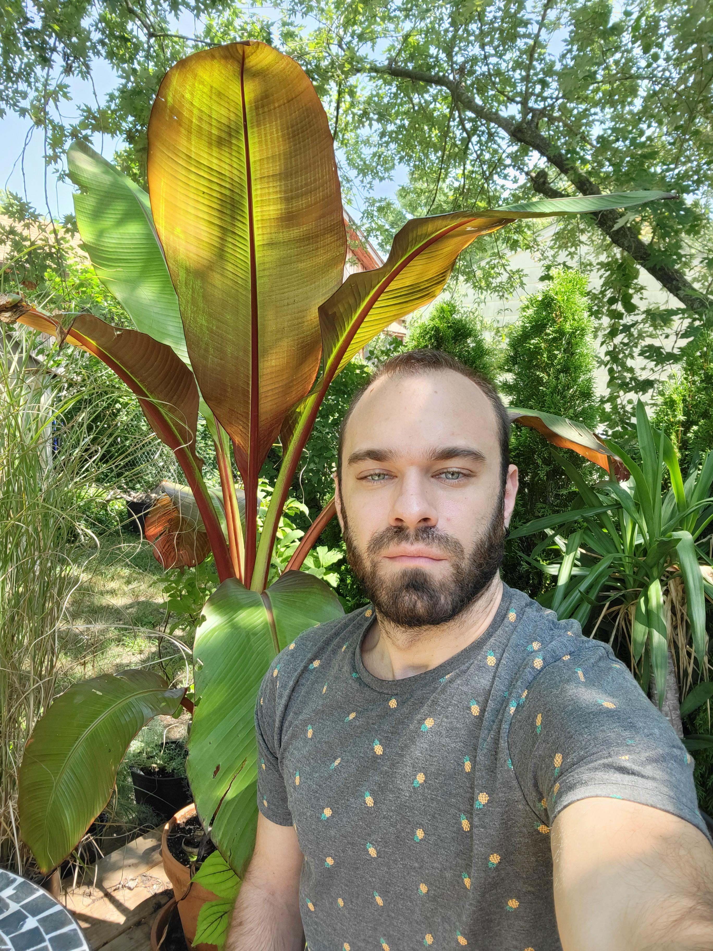 Me and my banana (plant) 😏 | Scrolller