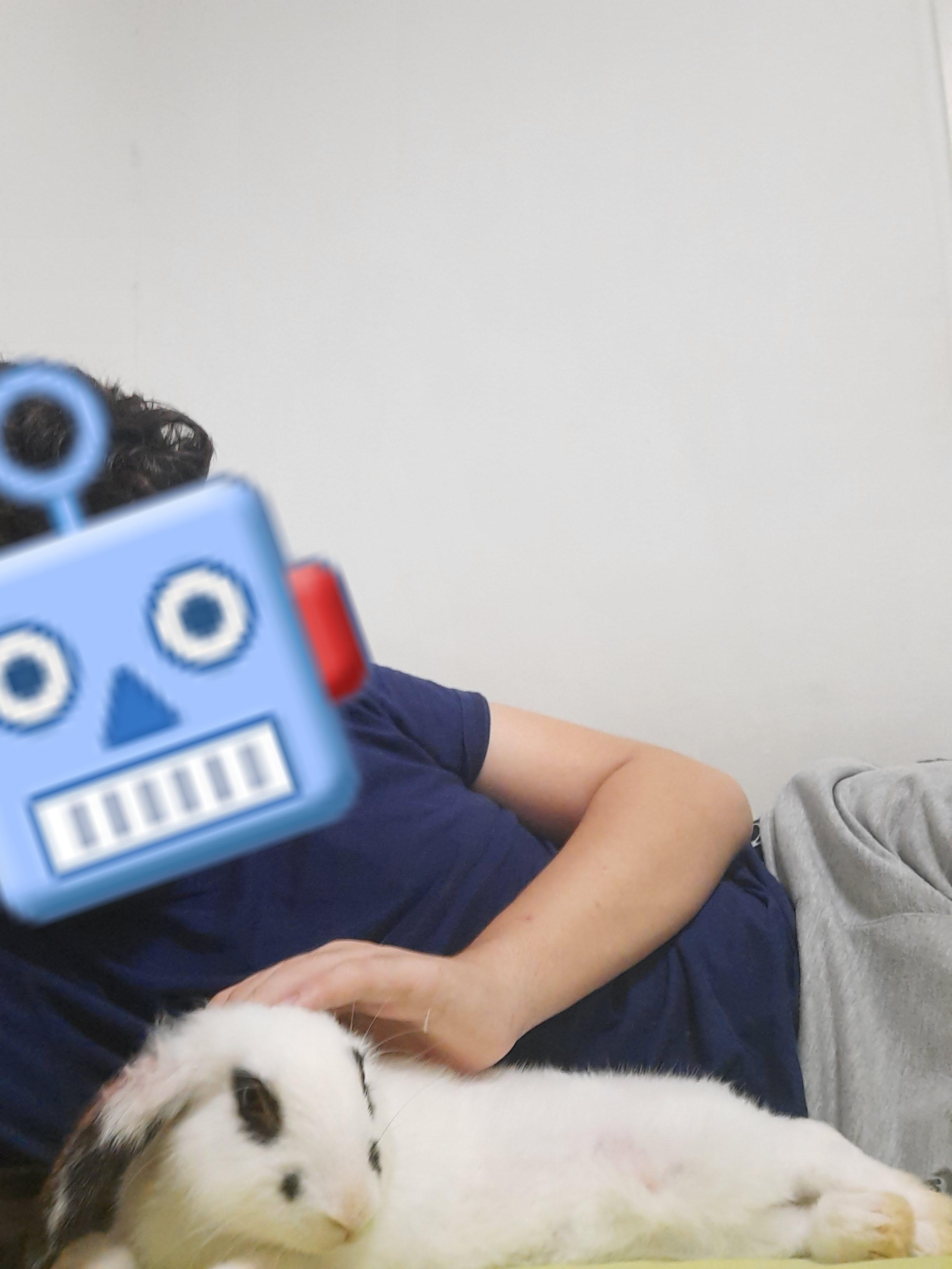 Me and my rabbit resting | Scrolller