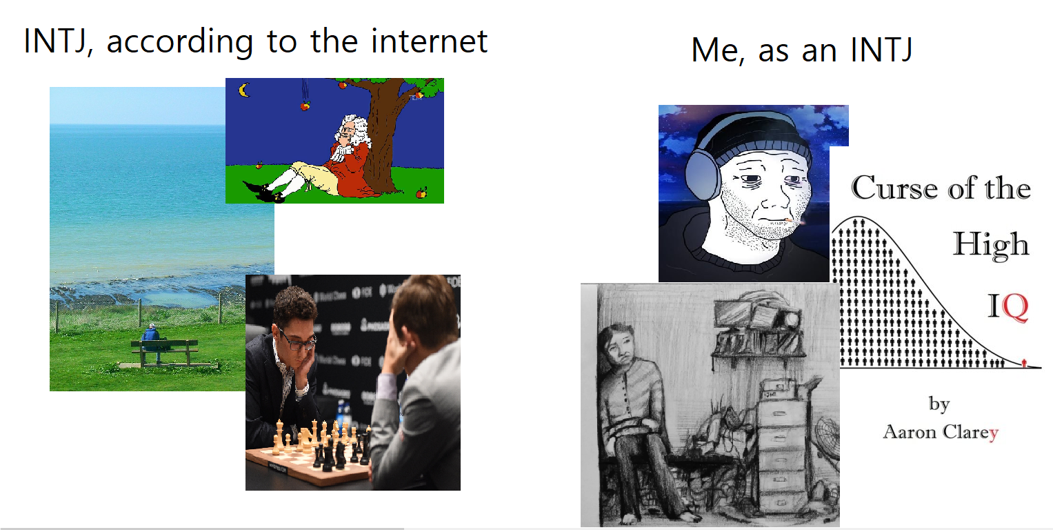 Me, as an INTJ... | Scrolller