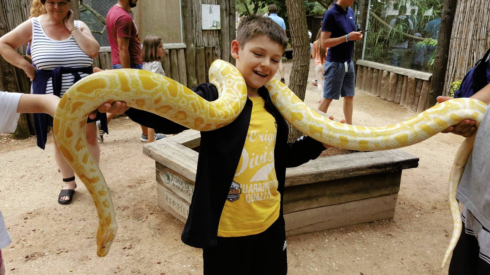 Me holding a giant python | Scrolller