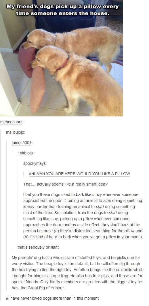 Meanwhile... | Scrolller