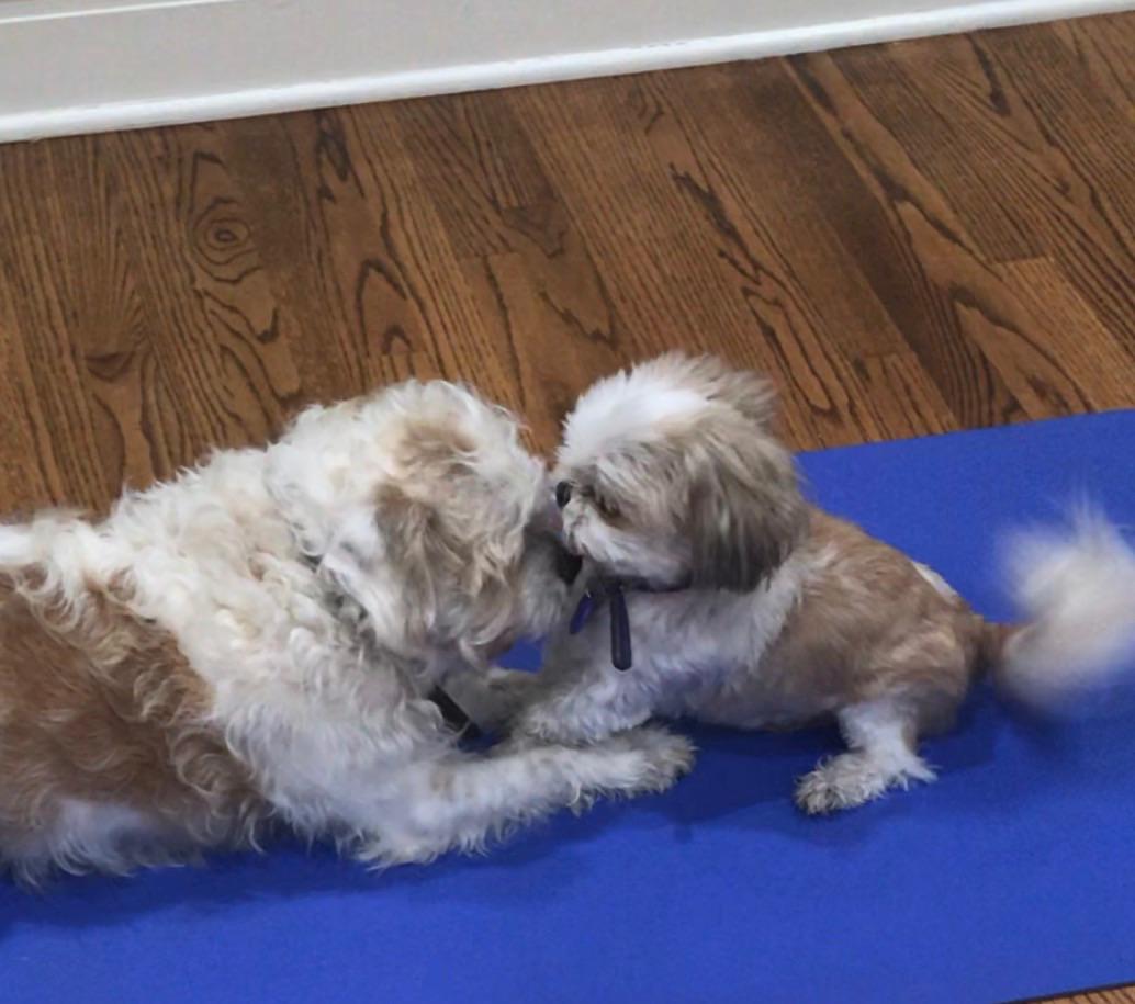 Medium and Smol | Scrolller