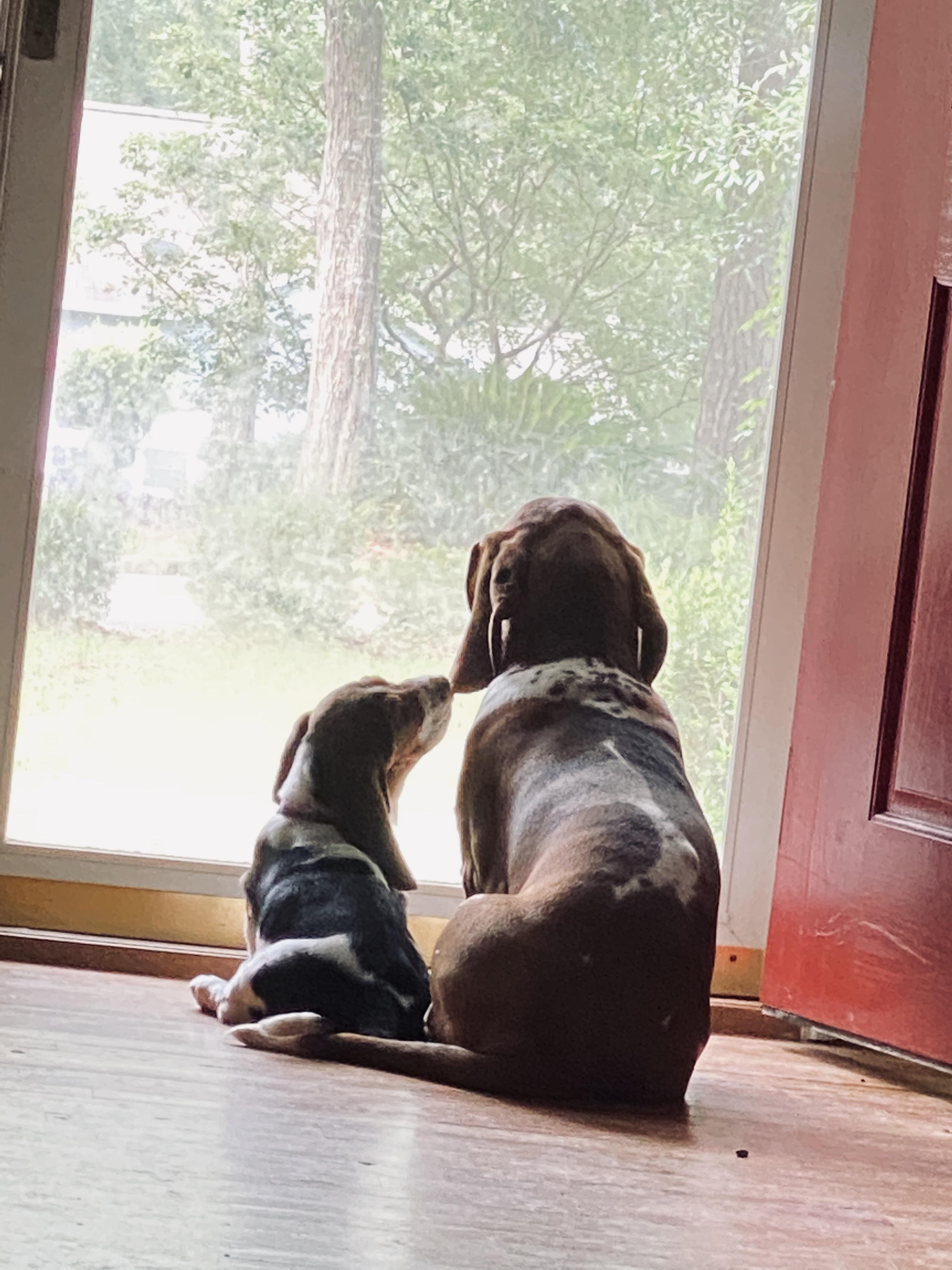 Meet Agnes... | Scrolller