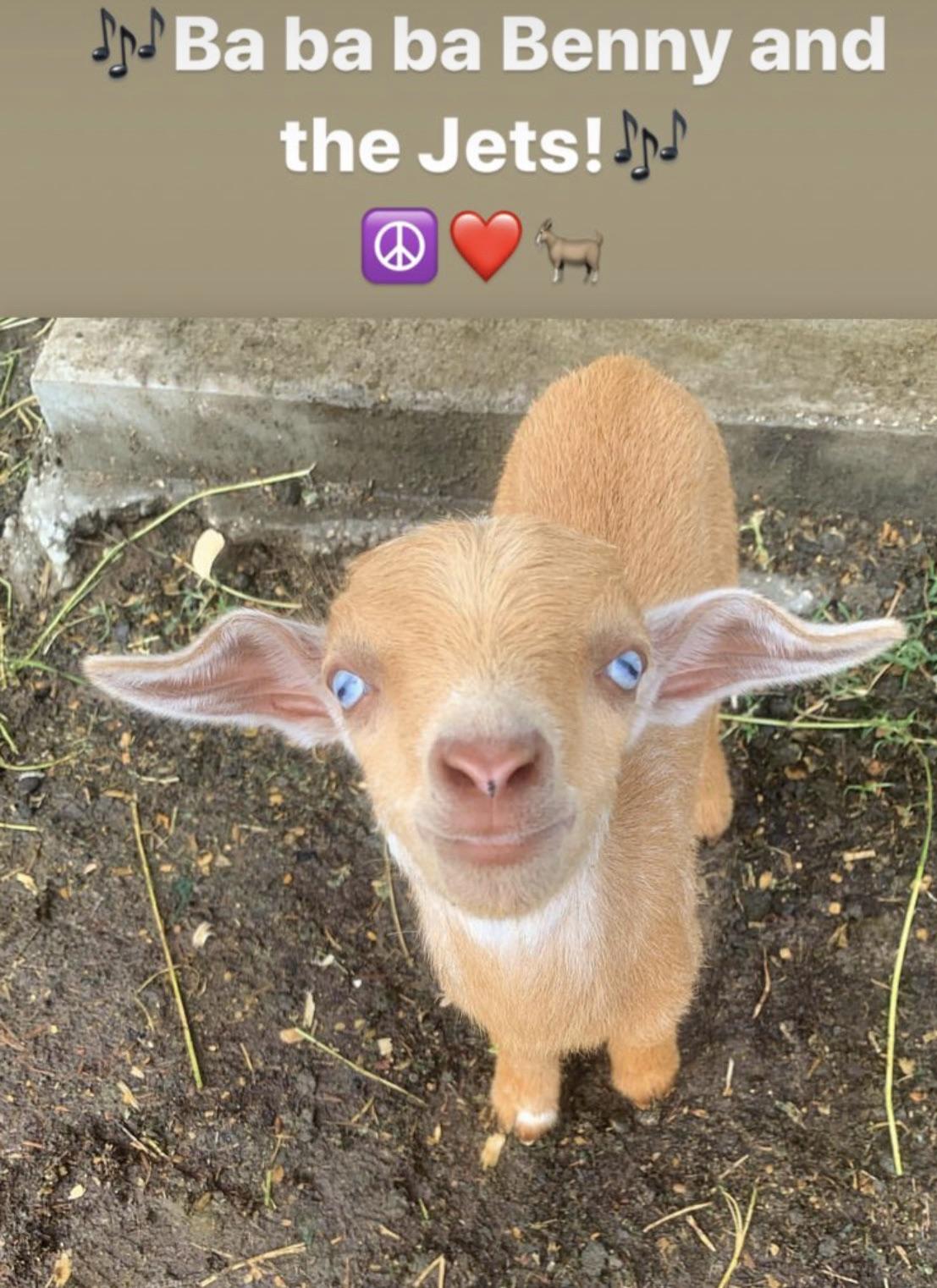 Meet Benny. Benny is special. | Scrolller