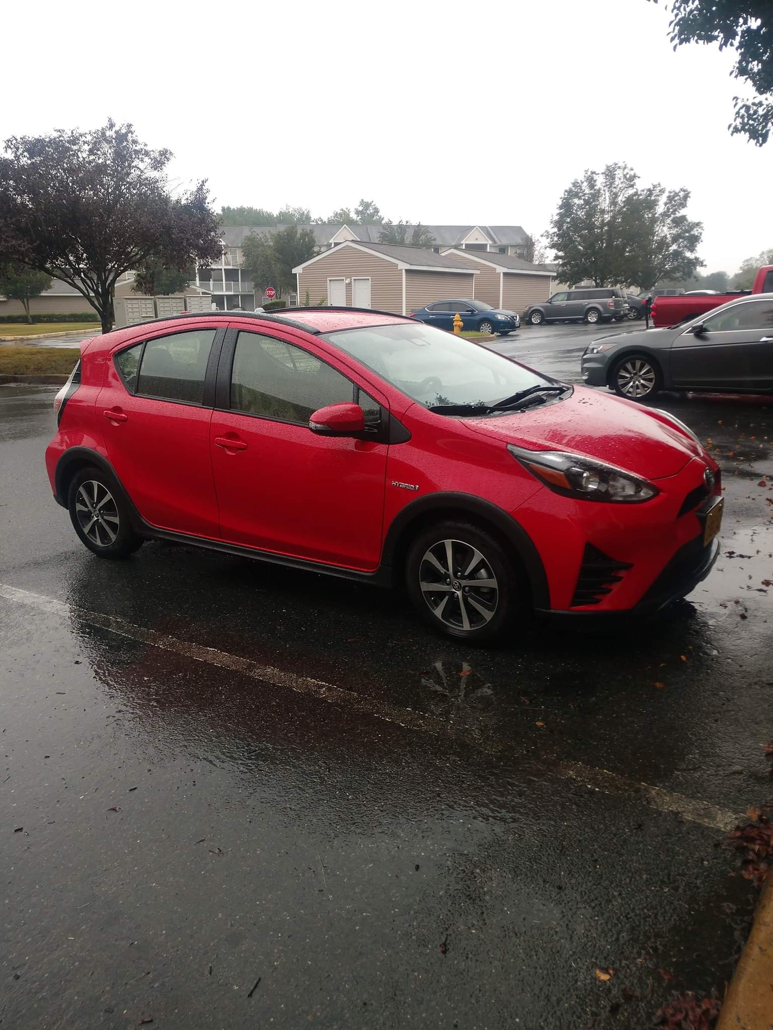 Meet Christine | Scrolller