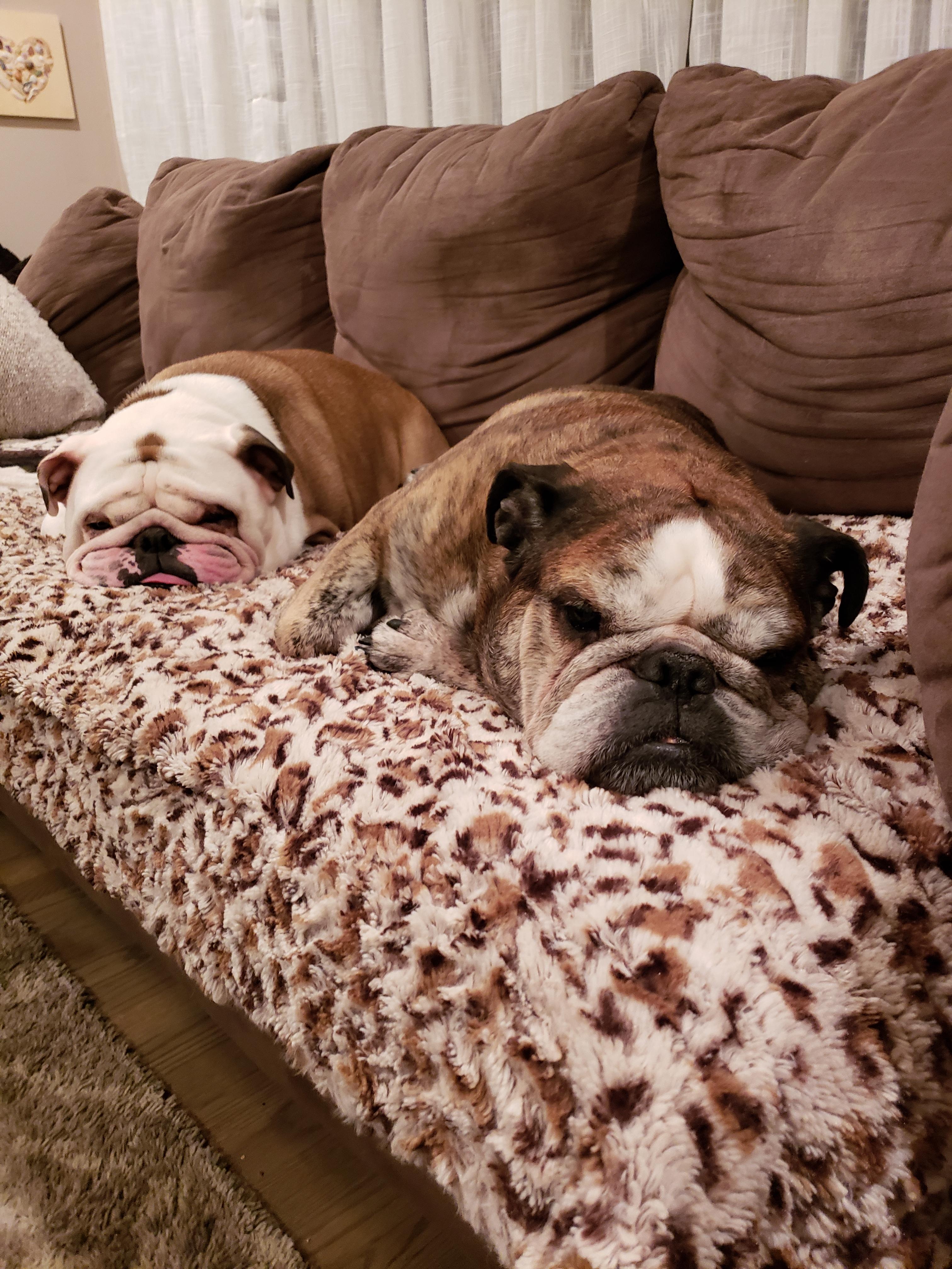 Meet Chubby(squishy boy on left) and Edna(squishy ol girl on right) | Scrolller