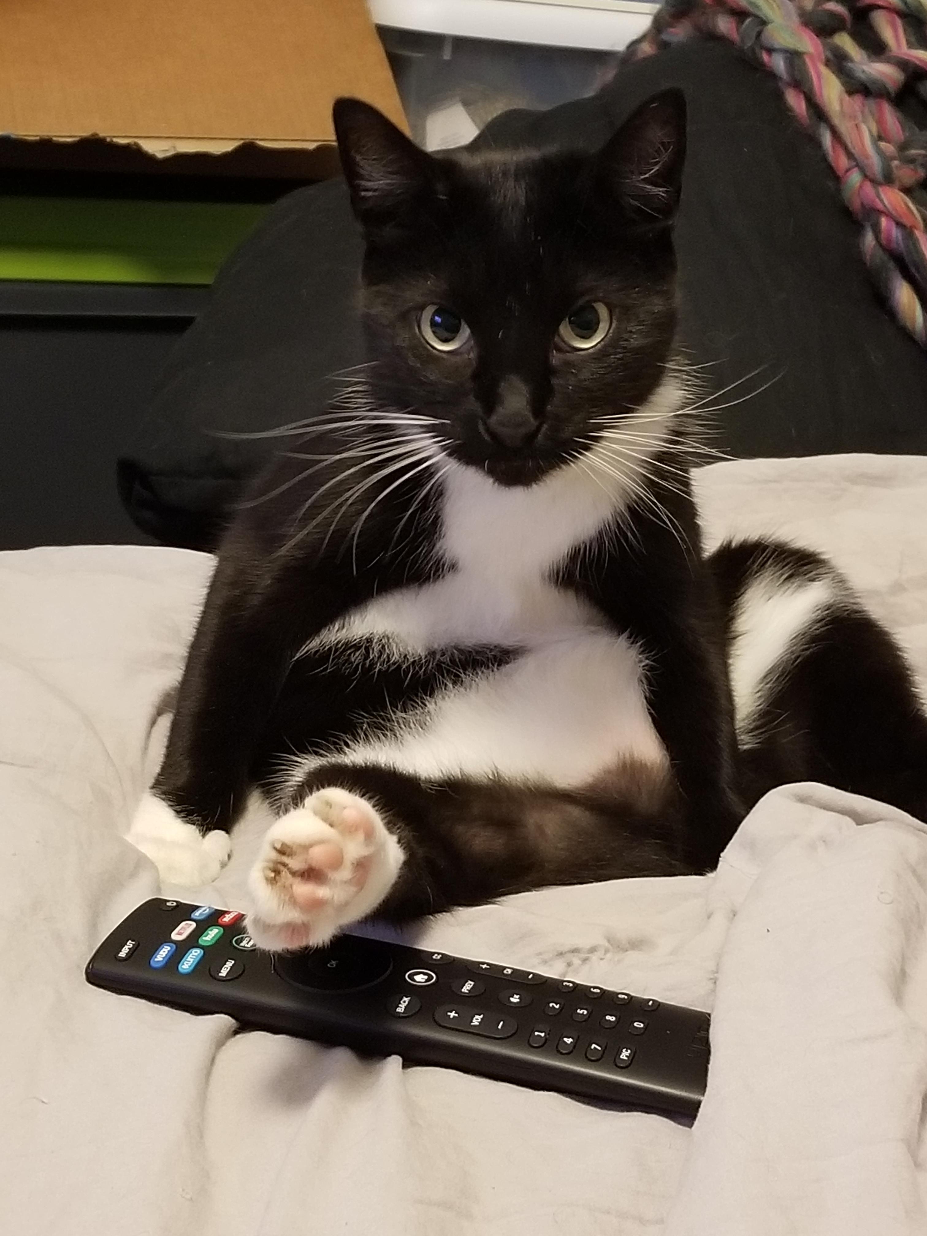 Meet Kara-Bo-Bear | Scrolller