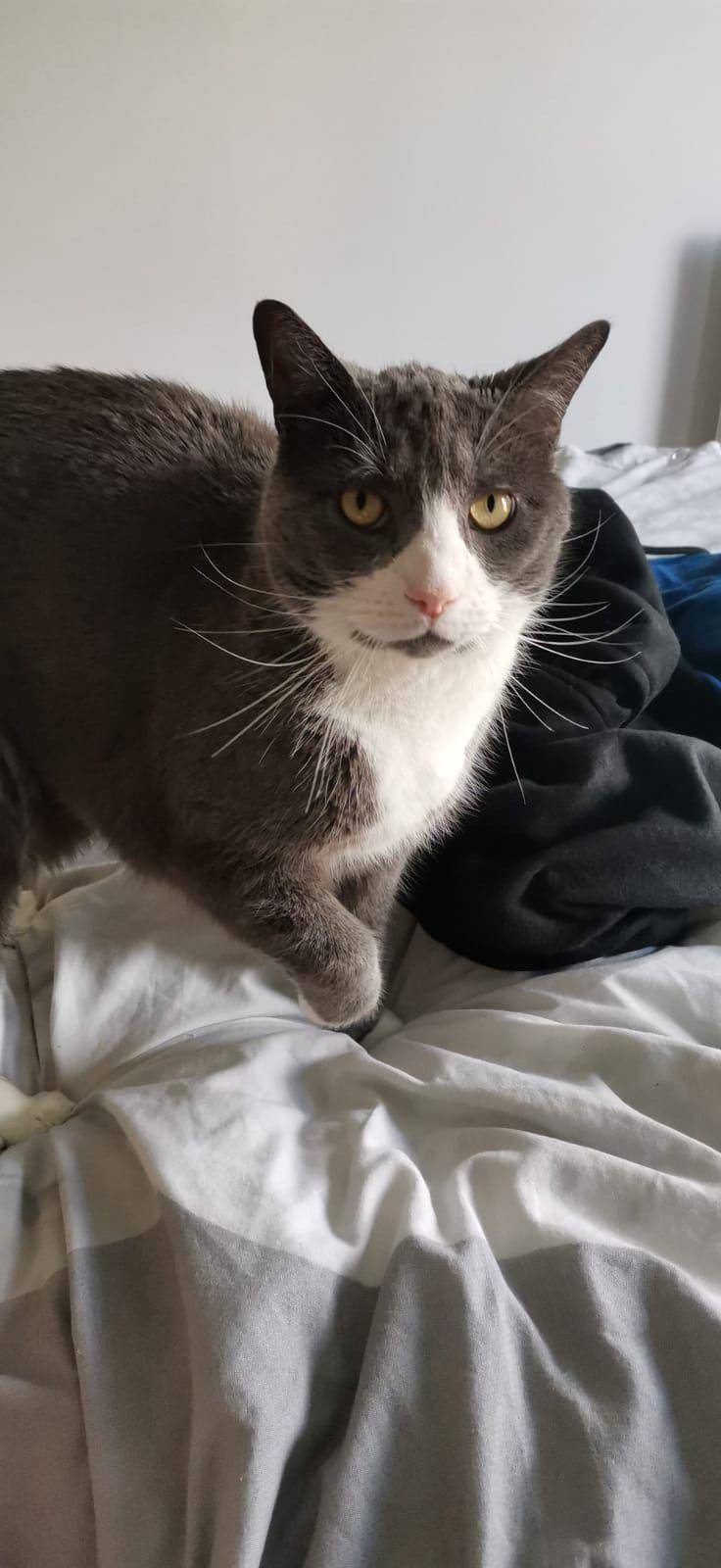 Meet Leo | Scrolller