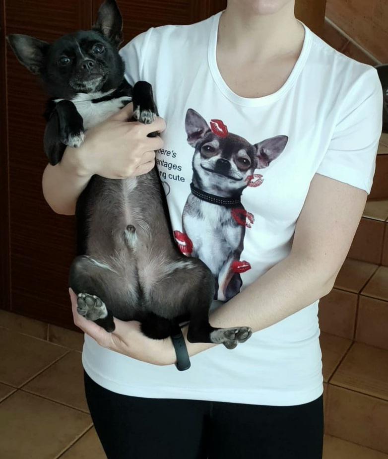 Meet lord Bob | Scrolller