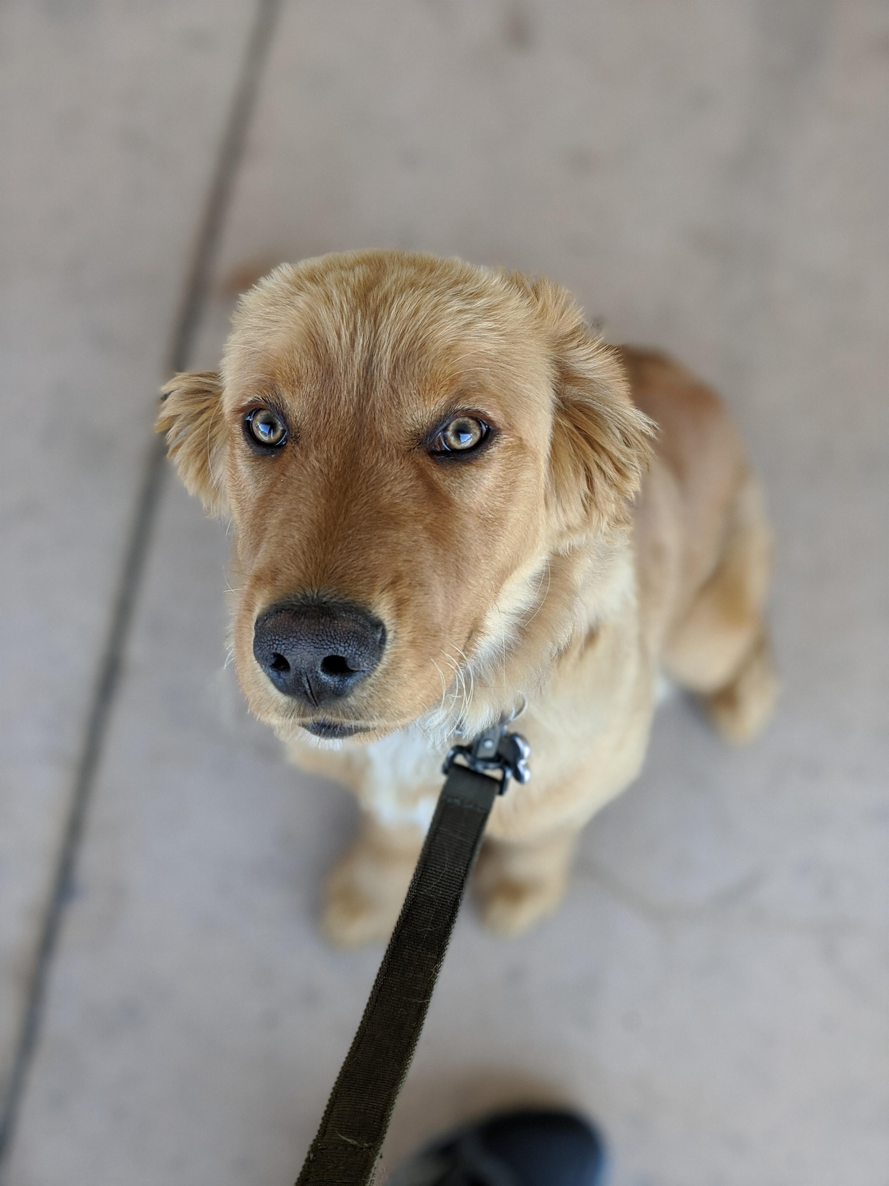 Meet Luca | Scrolller