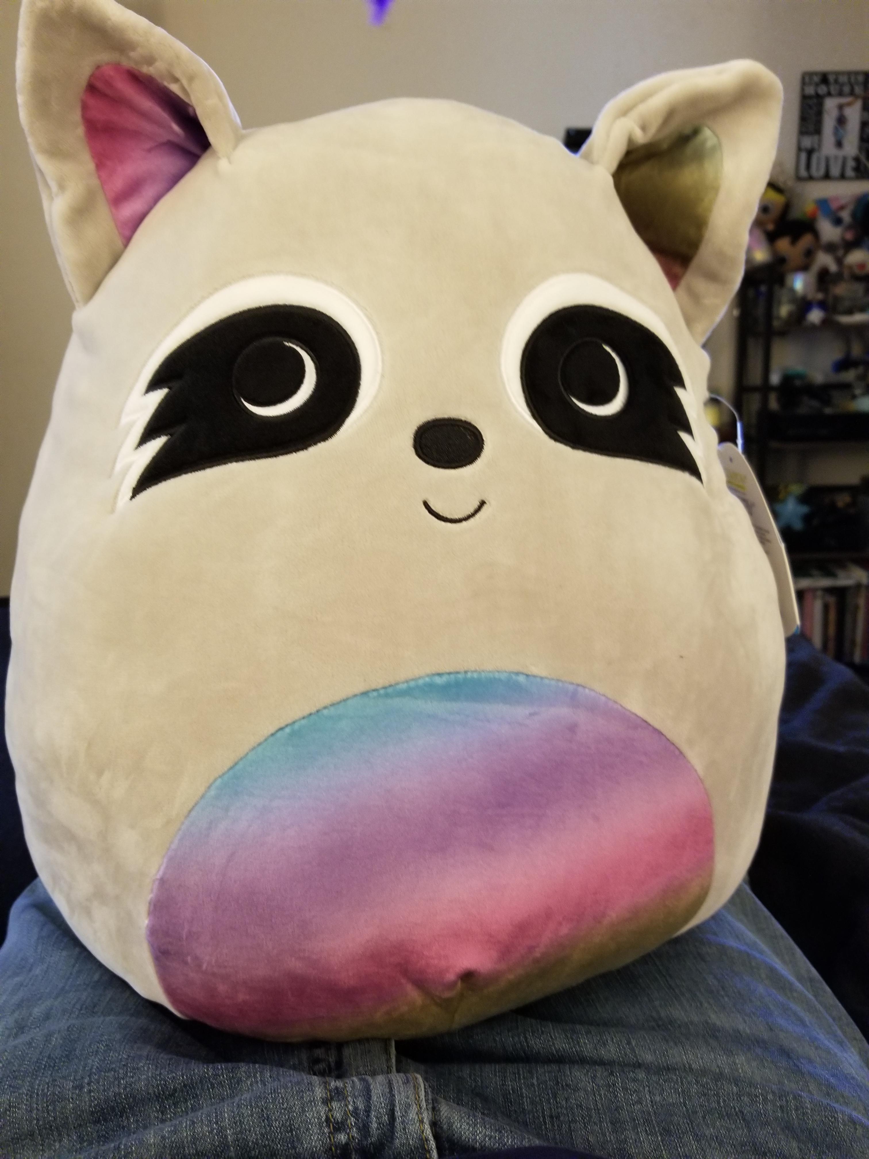 Meet Max | Scrolller