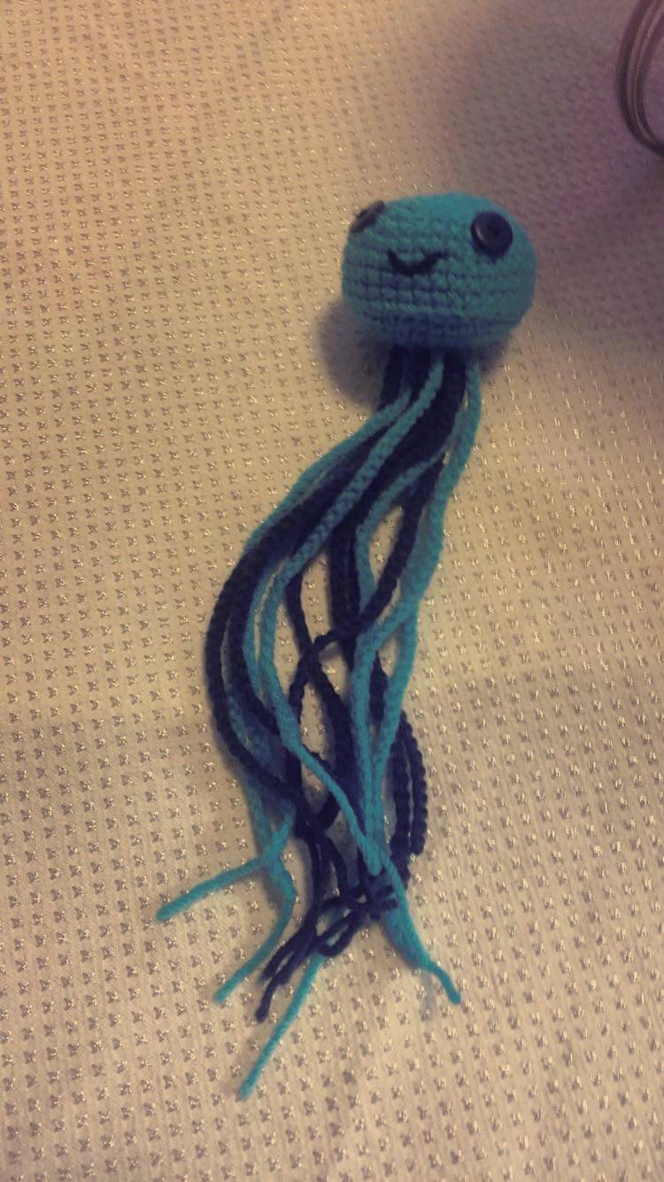 Meet Milo the jellyfish | Scrolller