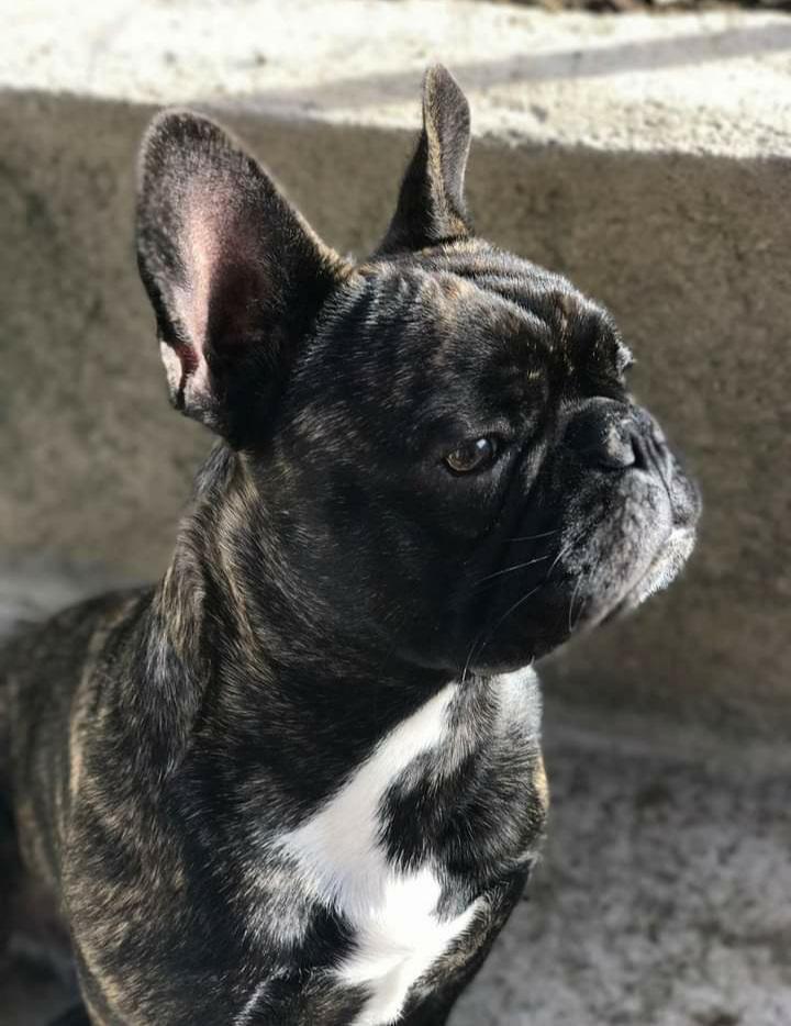 Meet my baby boy Billy 🥰 | Scrolller