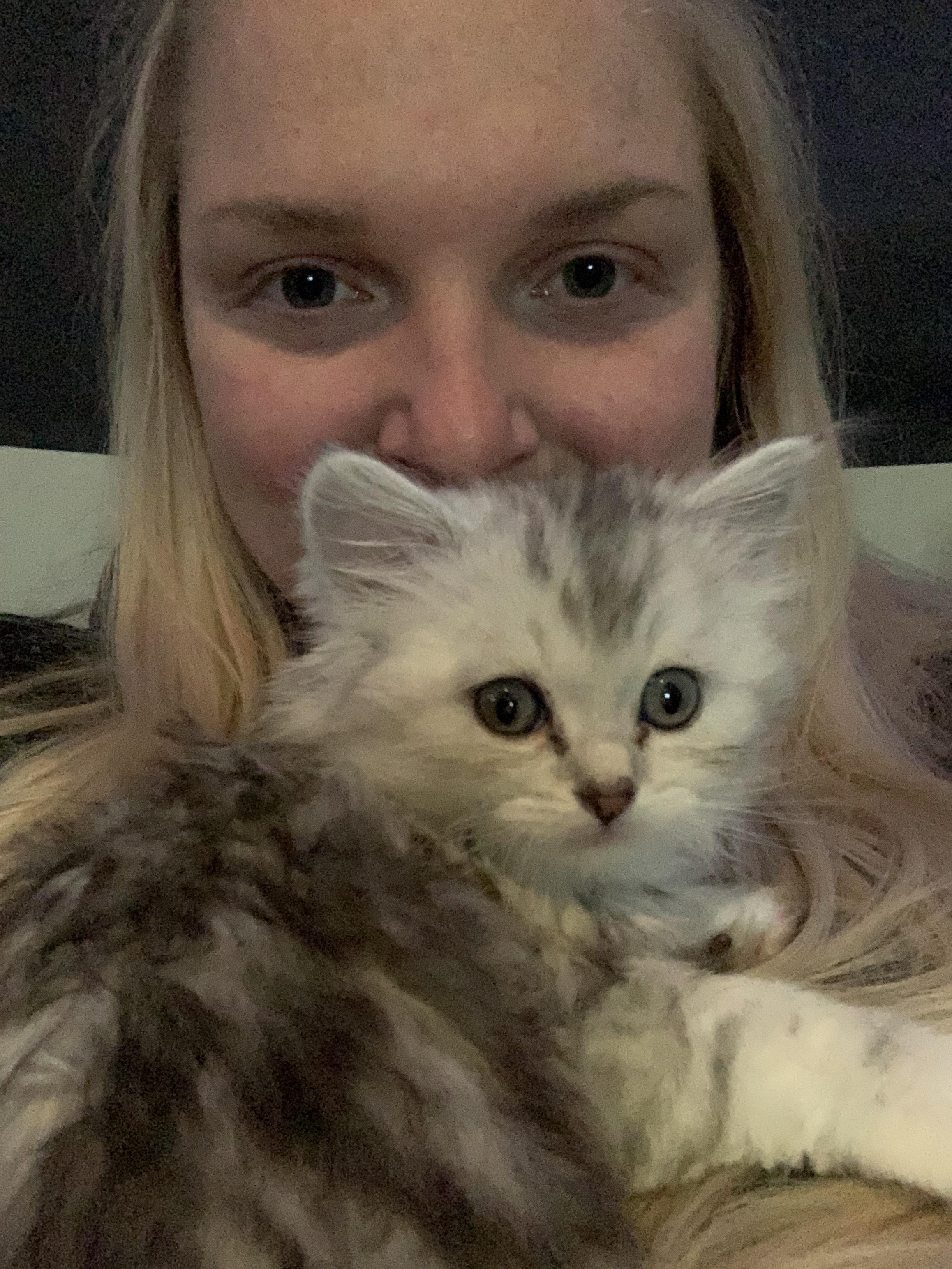 Meet my son: Gizmo. | Scrolller