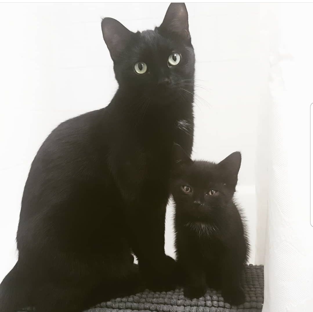 Meet Roo and Bean! | Scrolller