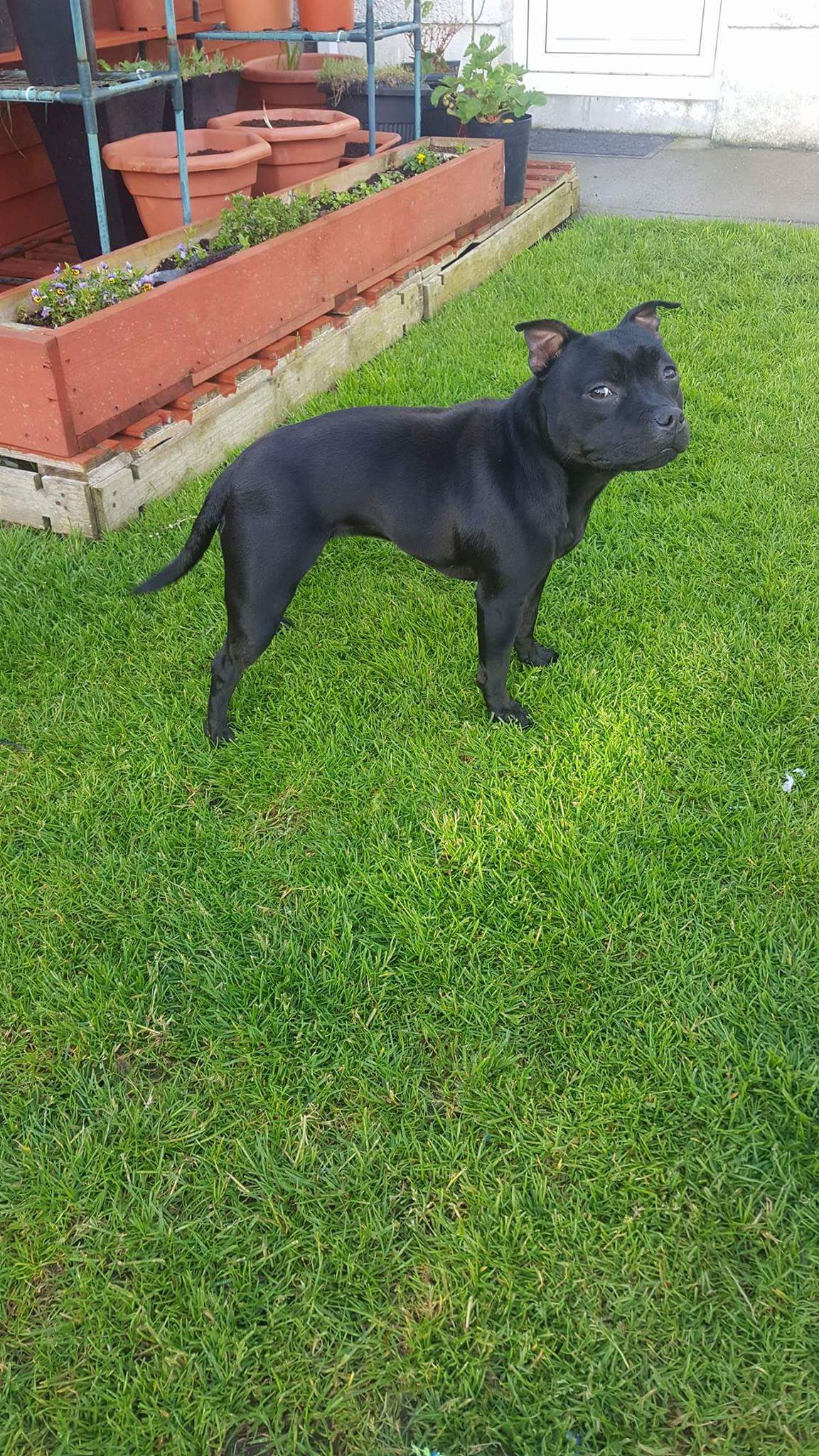 Meet Ruby, shes beauty and she knows it. | Scrolller