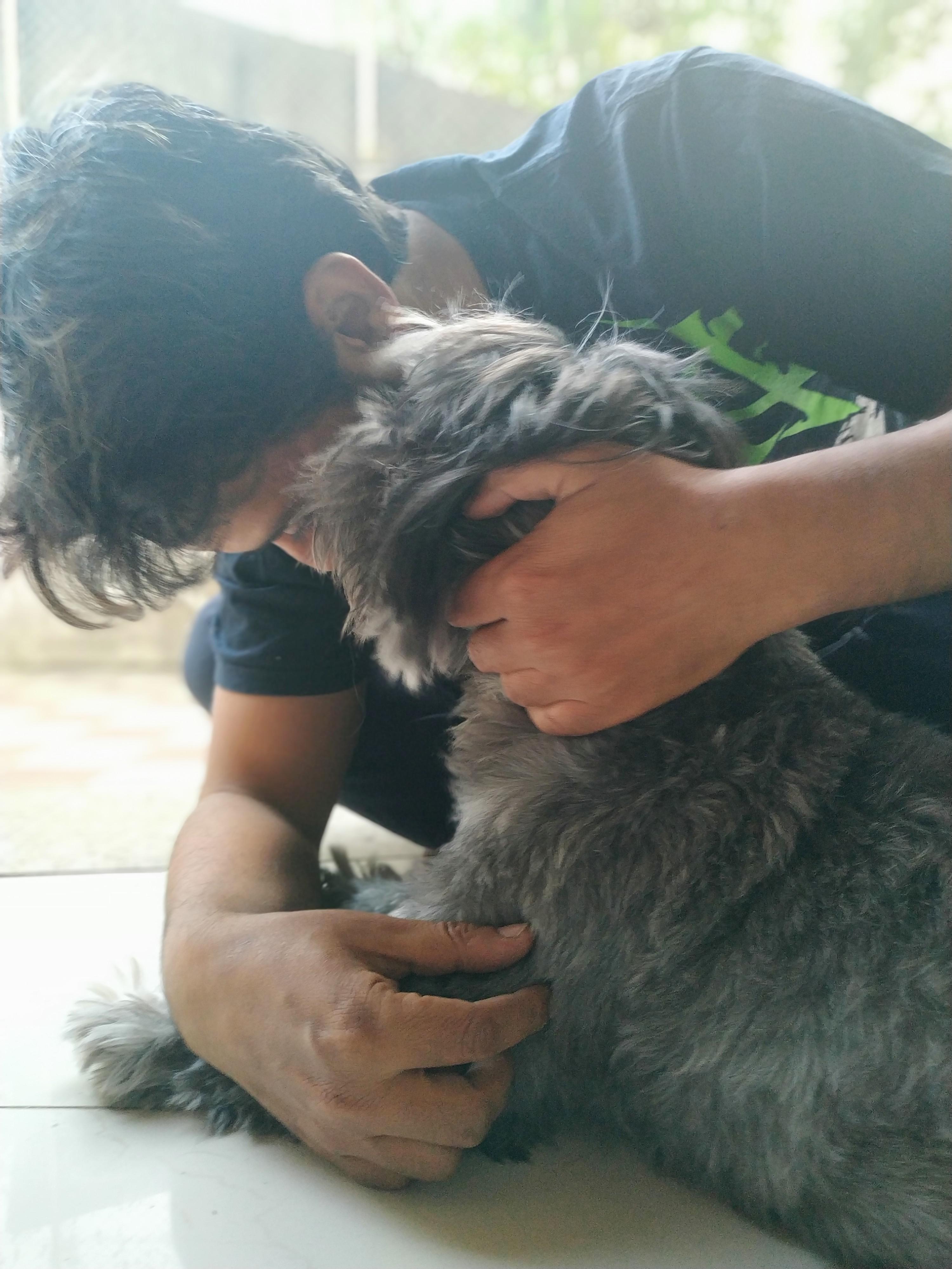 Meet Rusty, my best friend! I love him to death! | Scrolller