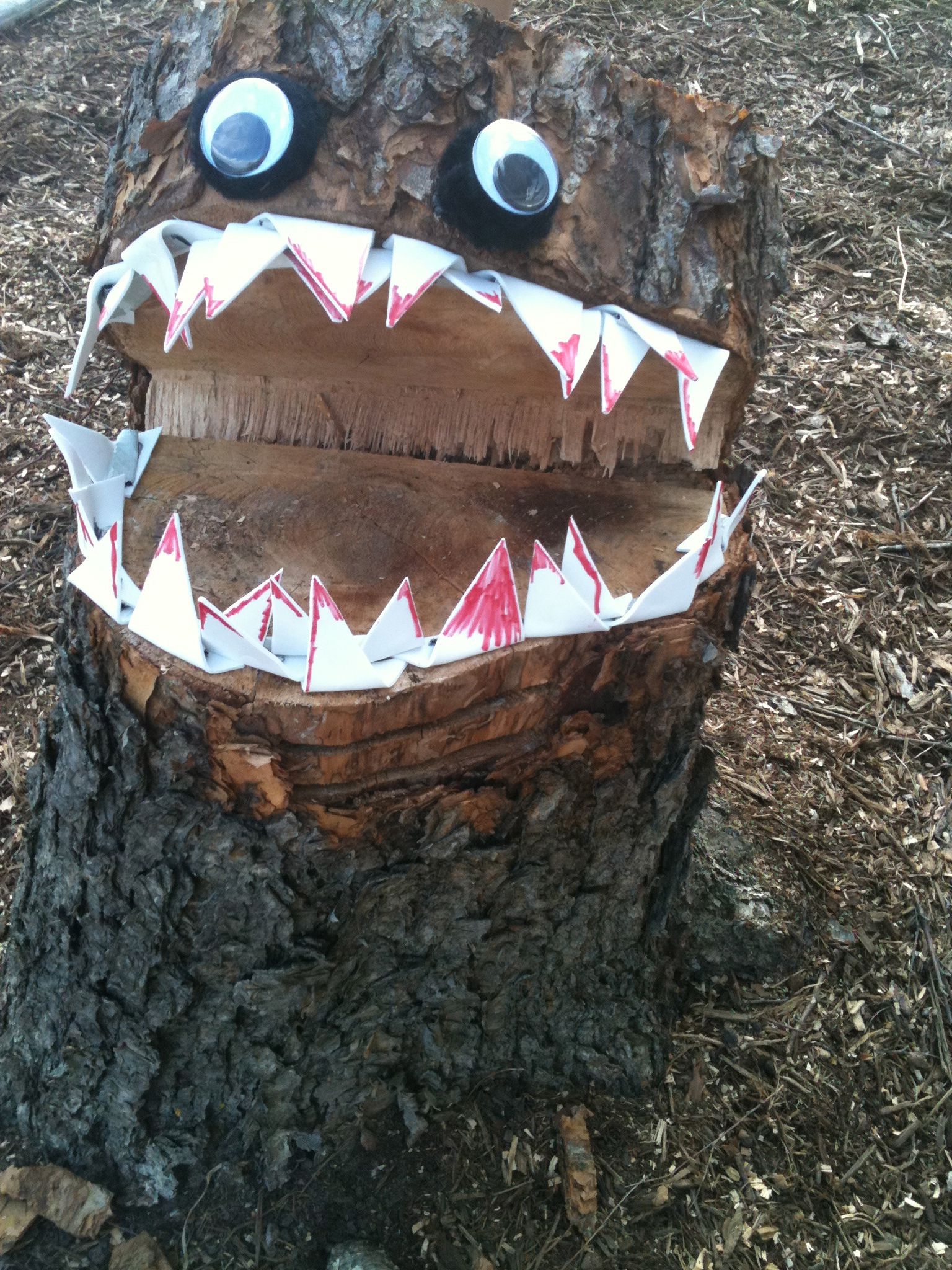 Meet Stumpy | Scrolller