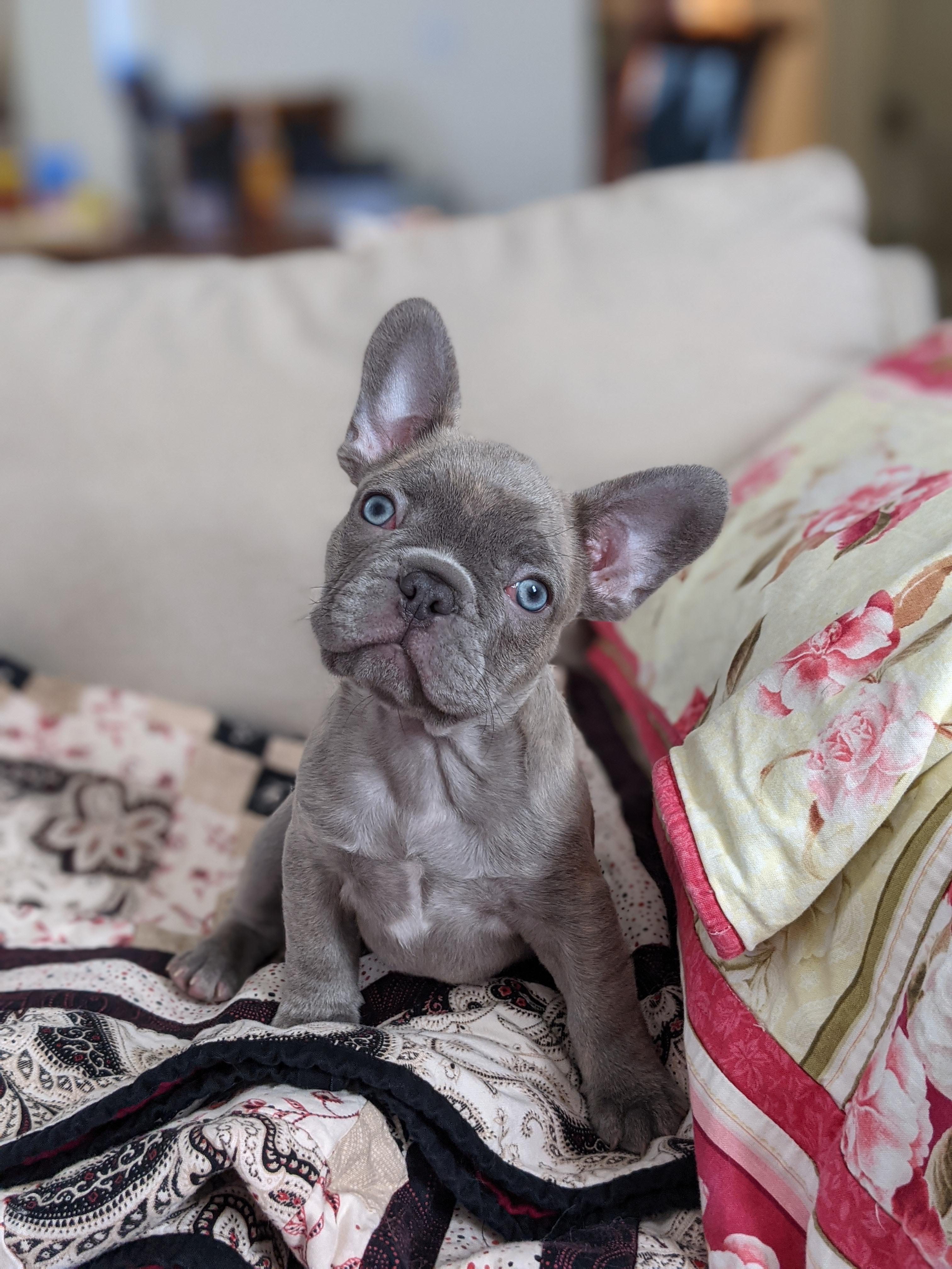 Meet Walter! | Scrolller