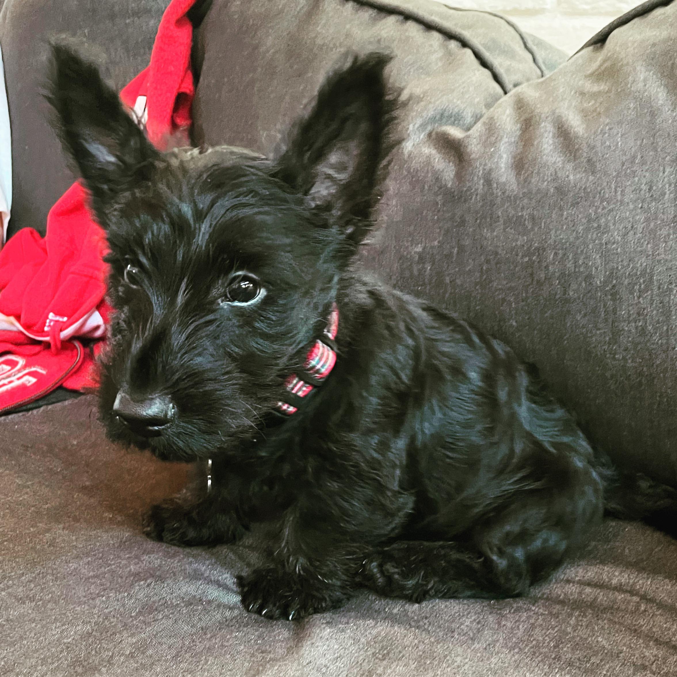 Meet Walter! | Scrolller