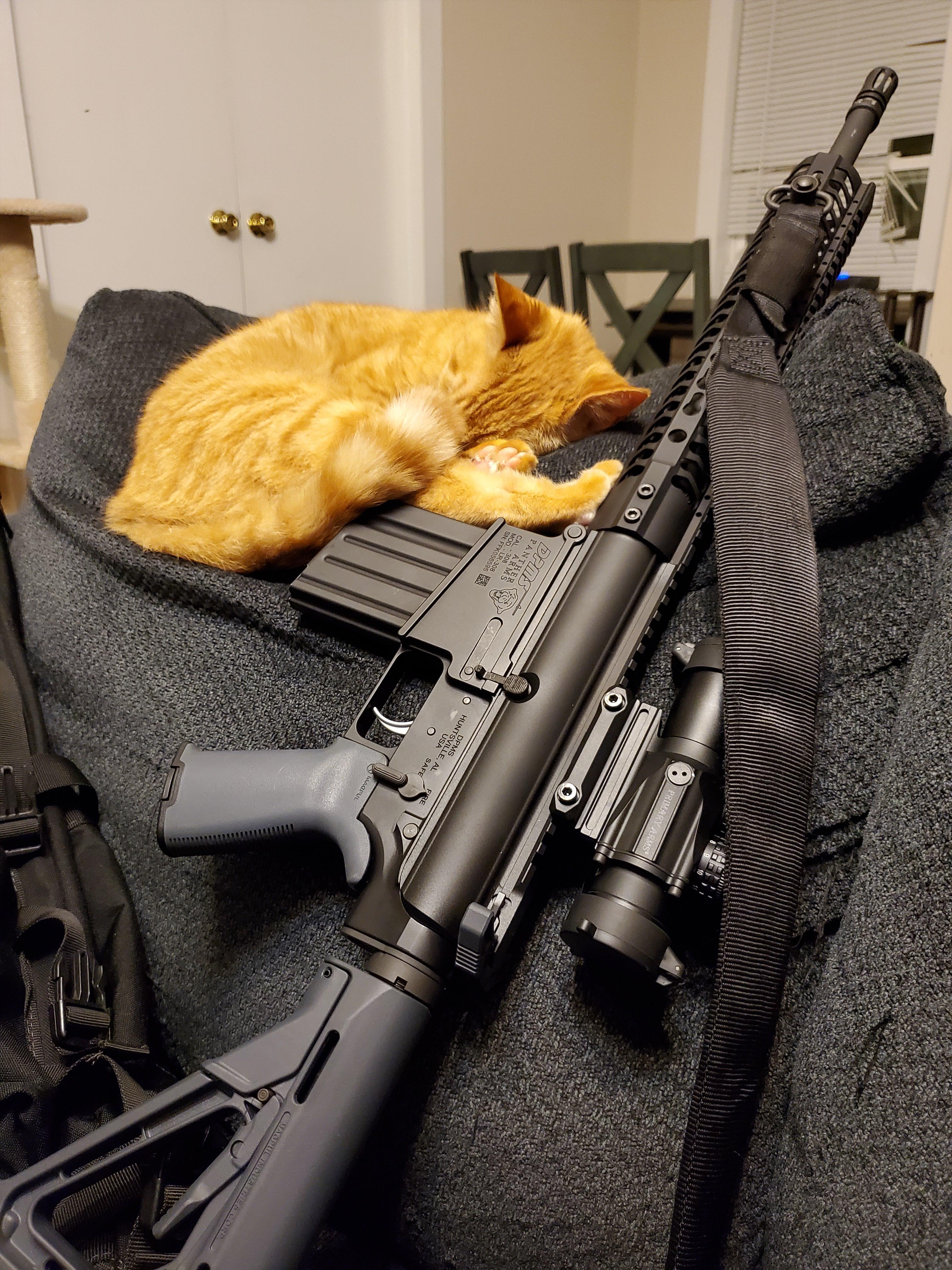 Melvee protec da bigboi | Scrolller