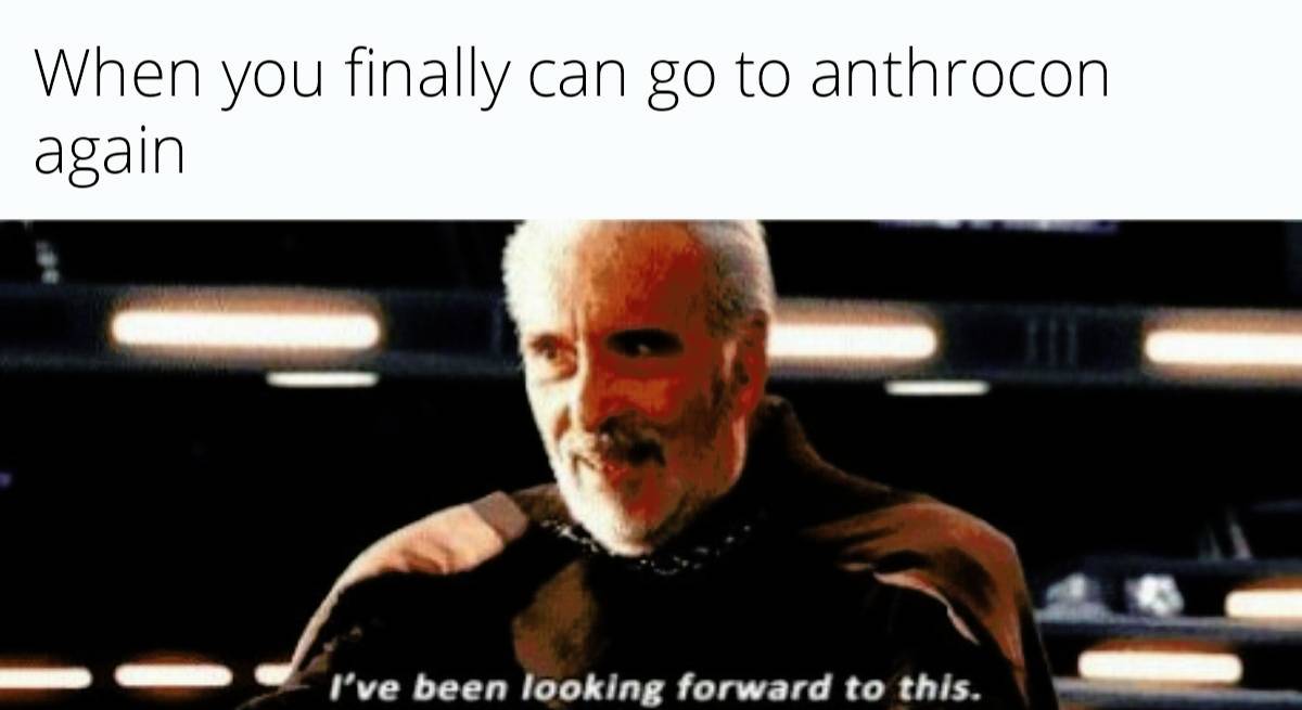 Meme_irl | Scrolller