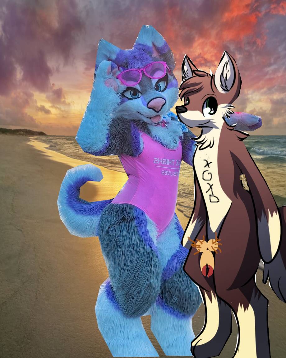 meme uwu | Scrolller