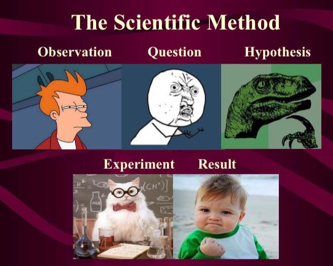 Memes help me learn | Scrolller