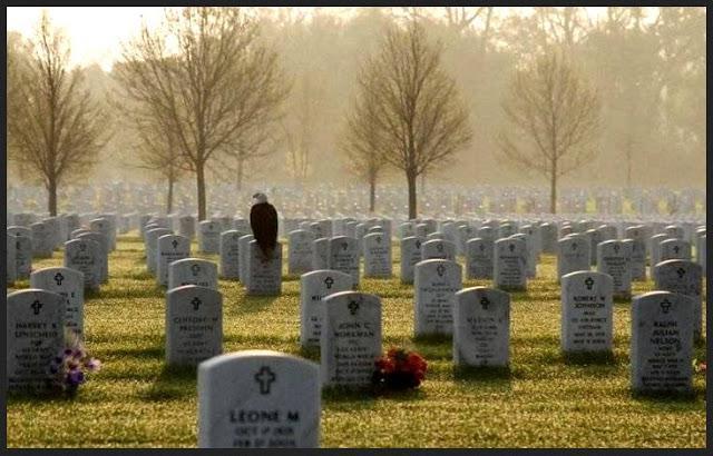 Memorial Day | Scrolller