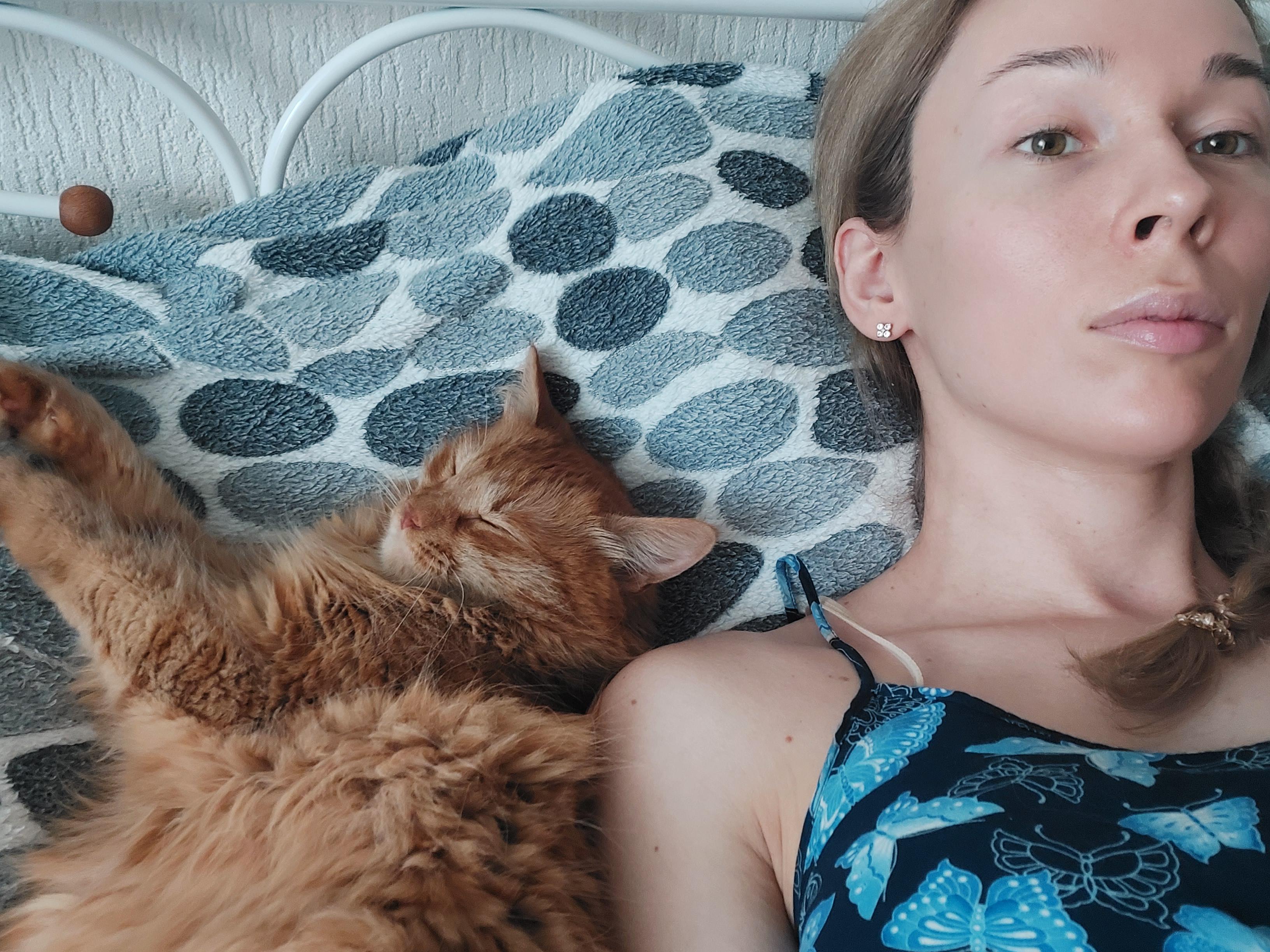 Meow🐱😁 24 | Scrolller