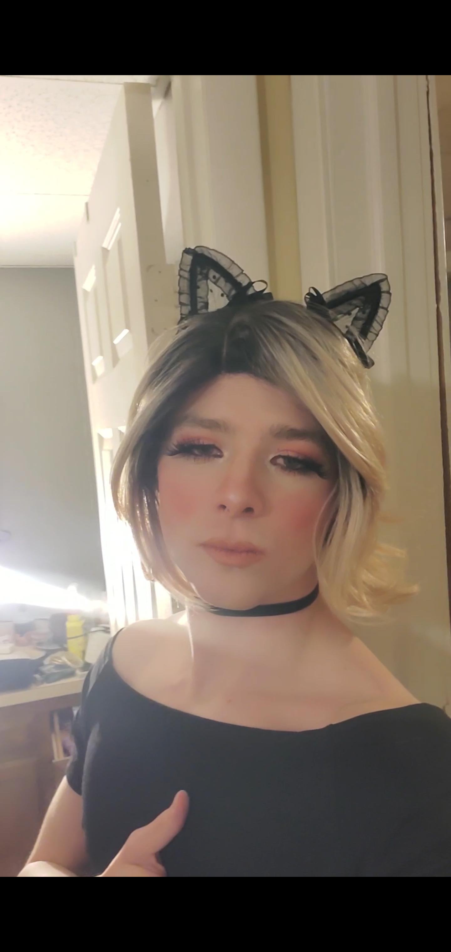 Sissy Cat 🖤 Scrolller