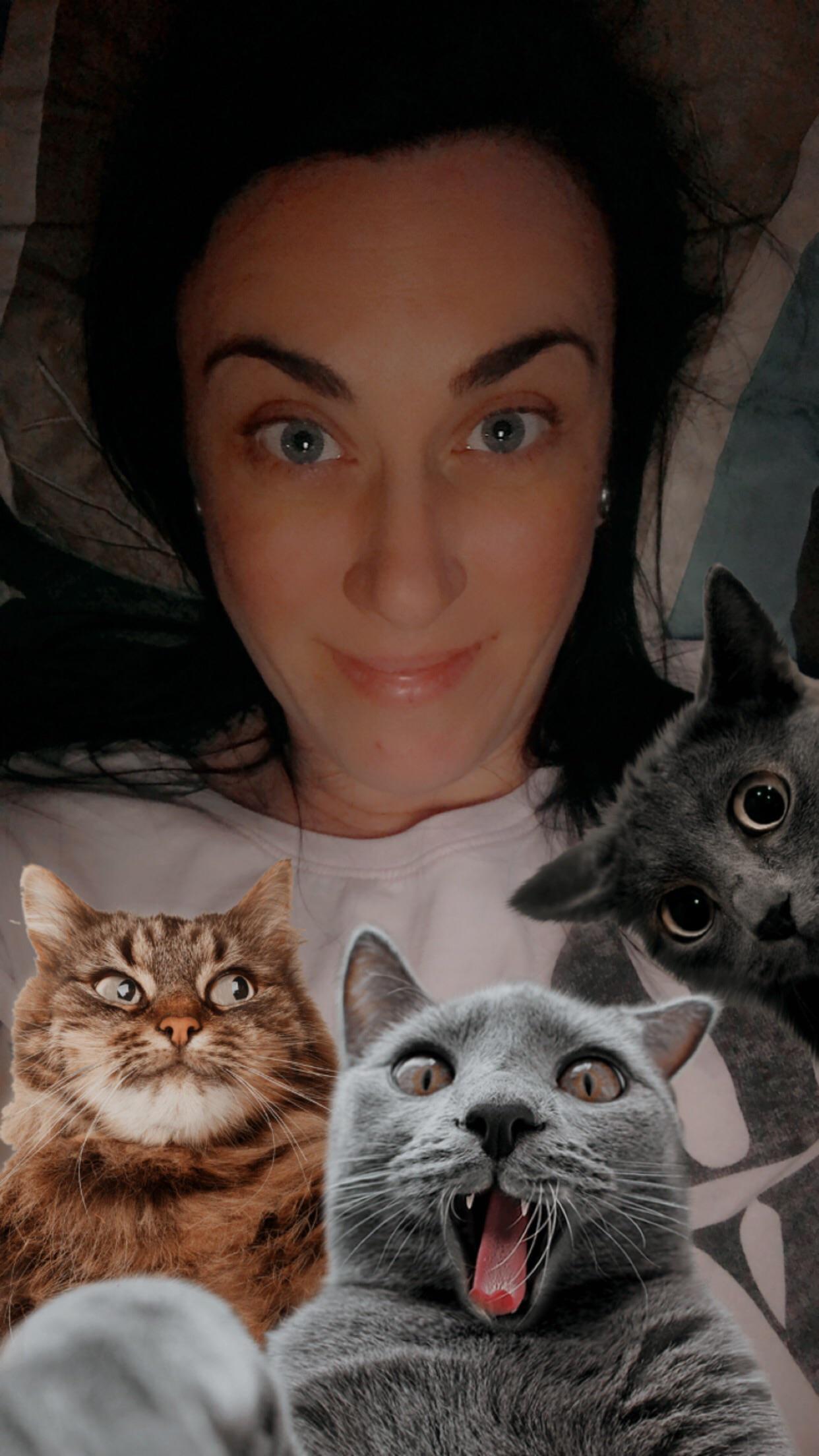 Meow , loves her kittens 🐈‍⬛ | Scrolller