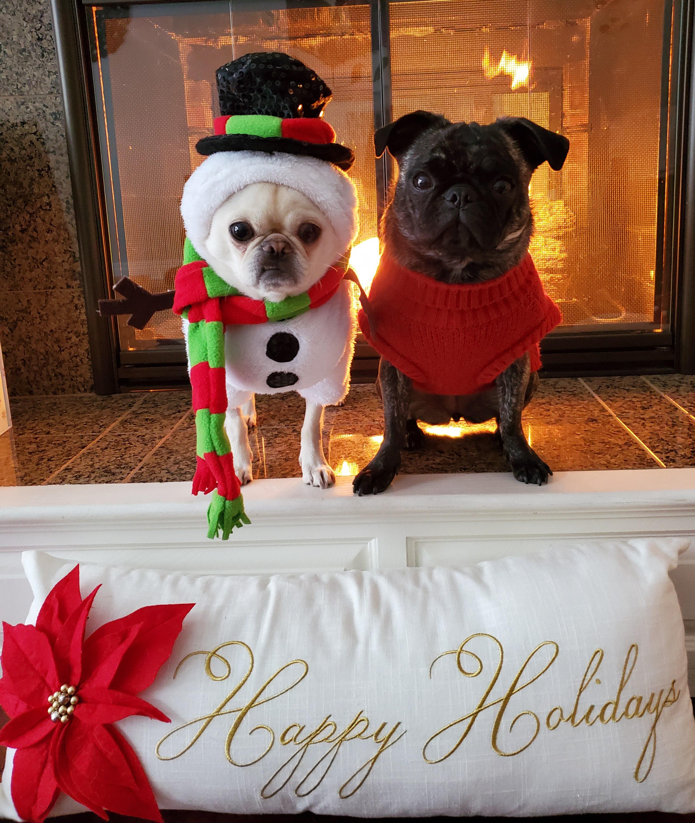 Merry Christmas | Scrolller