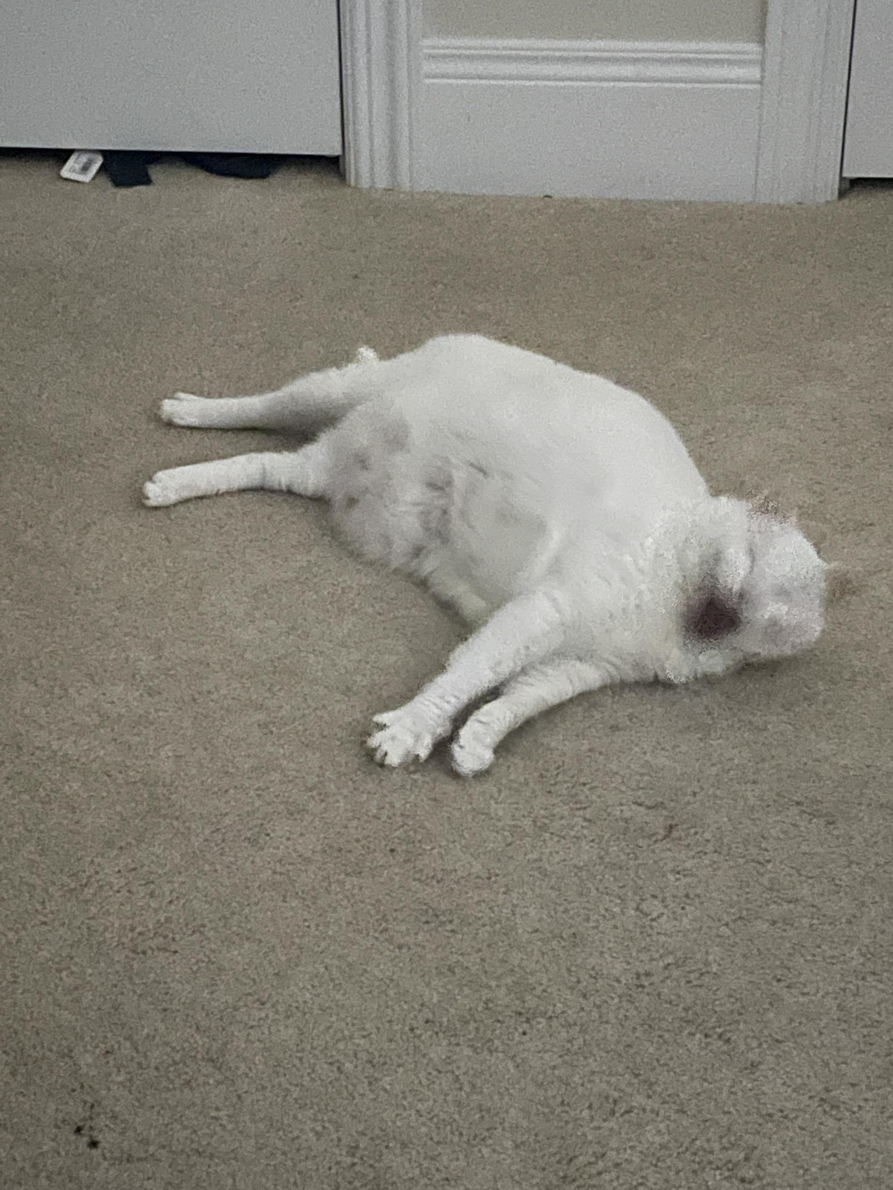 Methos Monday. | Scrolller