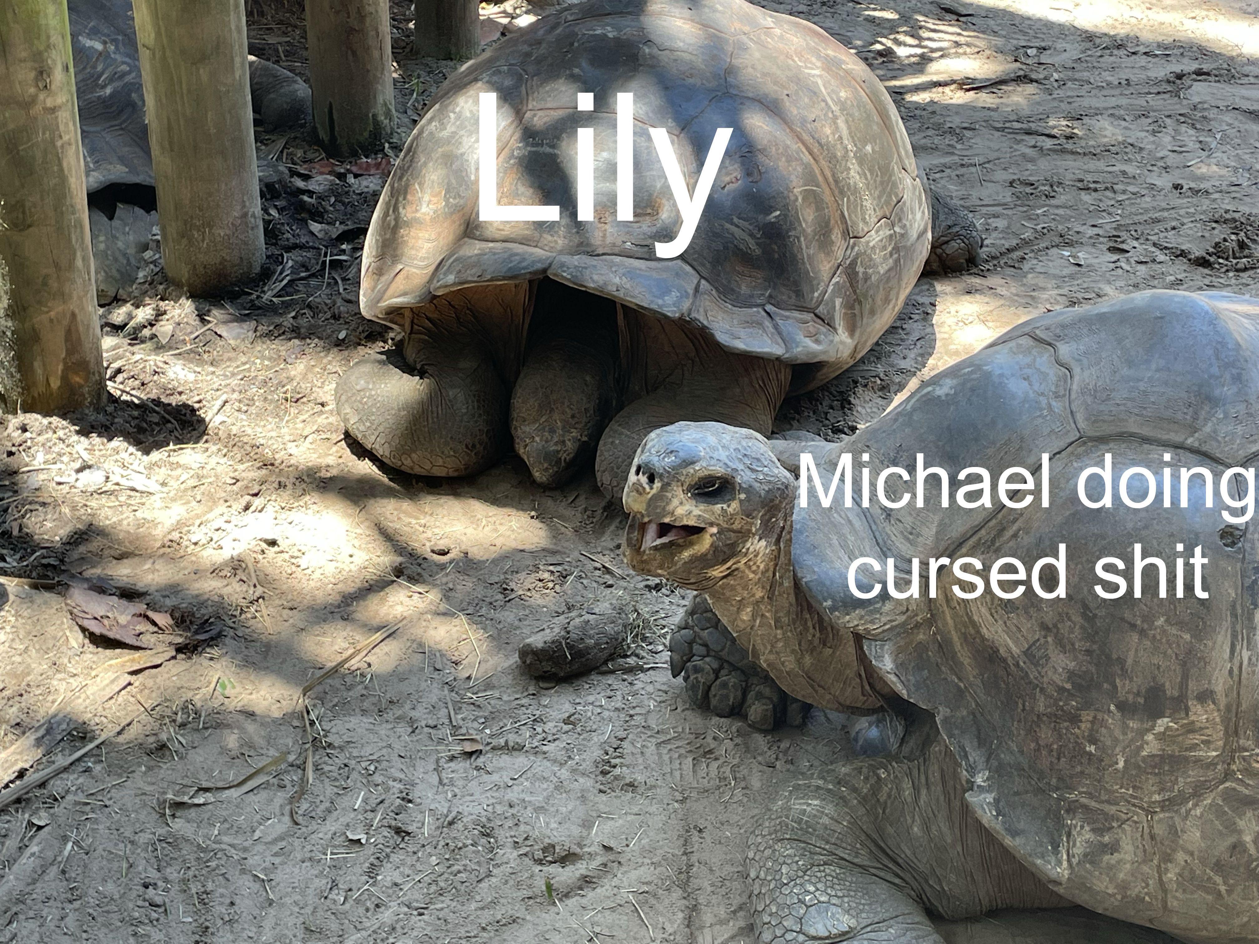 Michael! | Scrolller